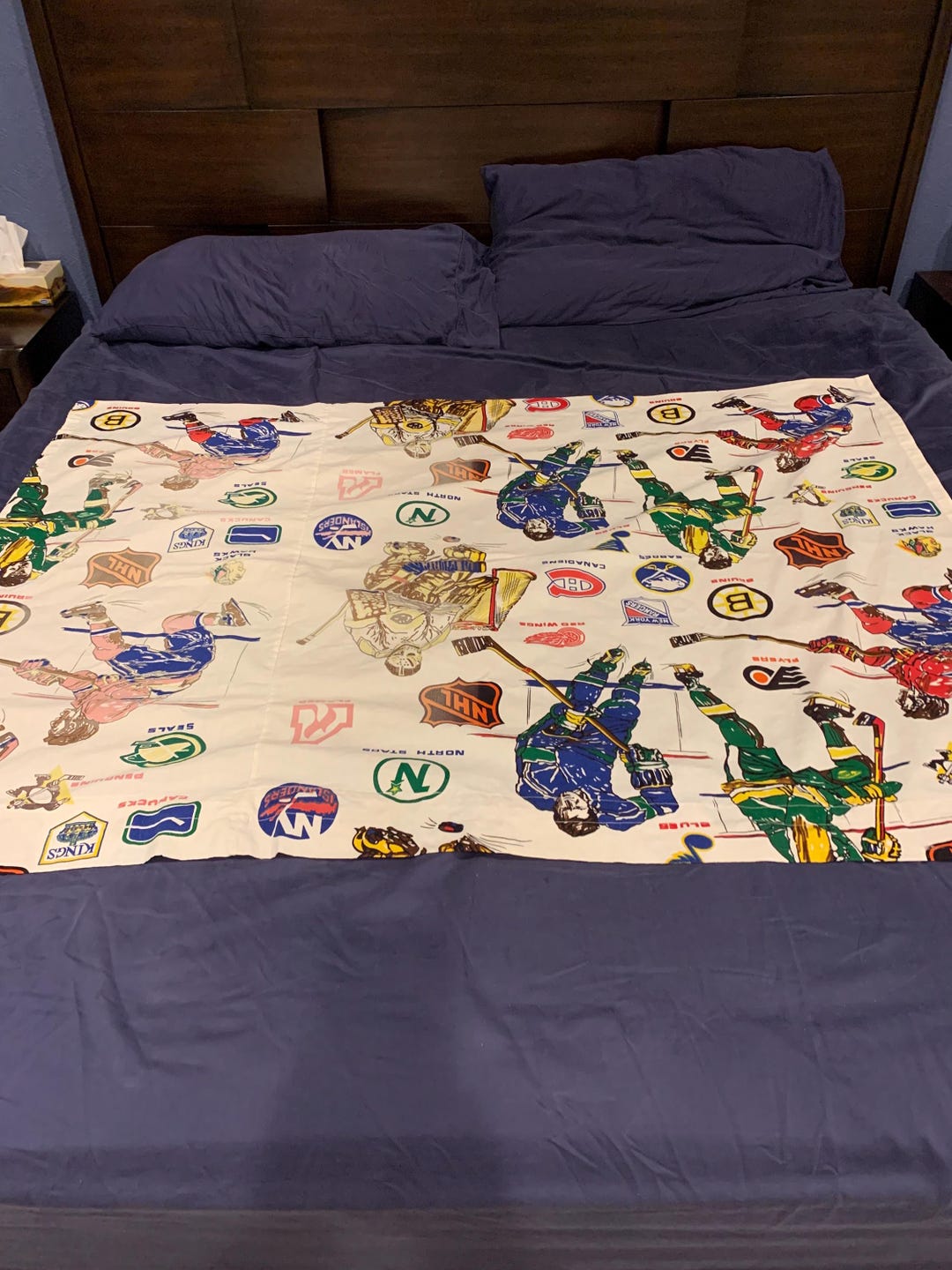 Vintage NHL Hockey Players Curtain Boys Room 1970s Memorabilia Fabric ...