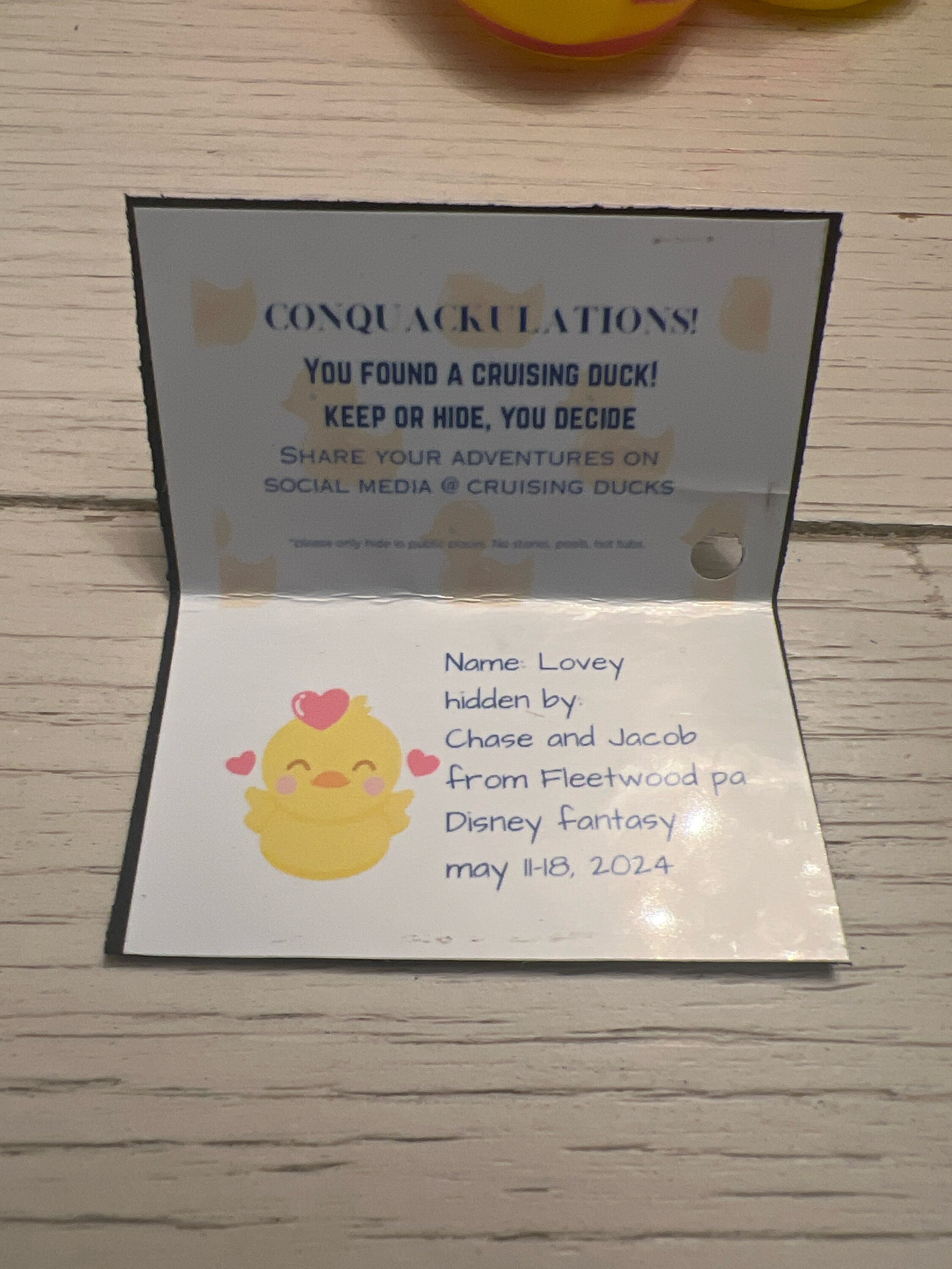 Cruising Ducks, Duck Passport, Cruise Gifts, Disney Cruise Fish ...