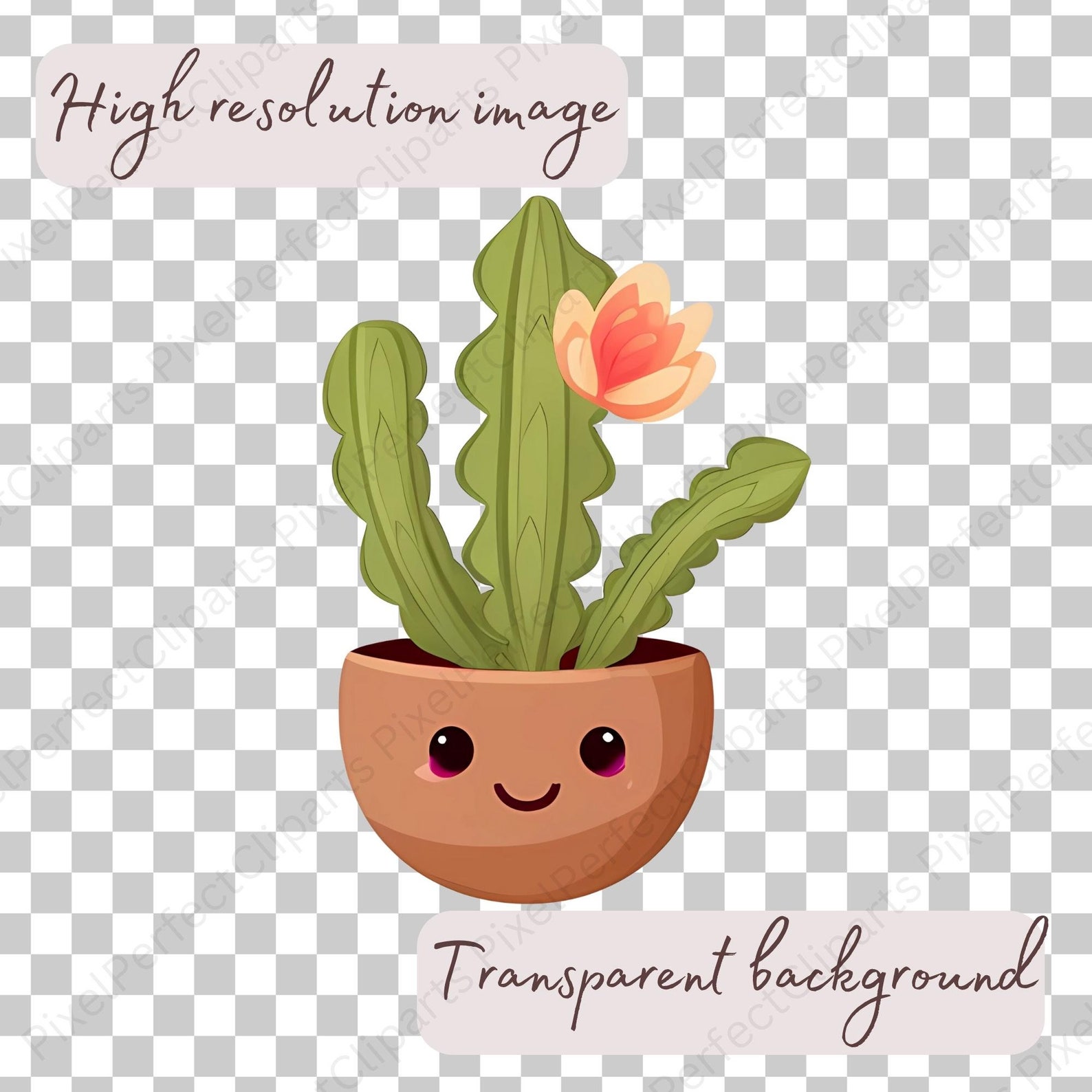 Cute Kawaii Cactus Plant Clipart PNG Pack of 40 Transparent Background ...