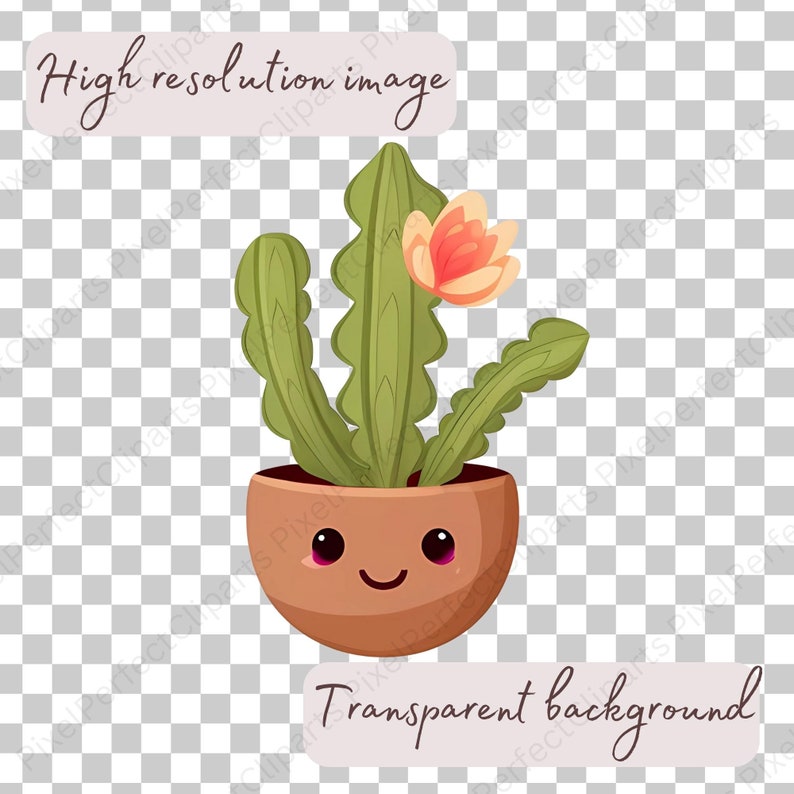 Cute Kawaii Cactus Plant Clipart PNG Pack of 40 Transparent Background ...