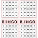 300 Vibrant Red Unique Bingo Cards Perfect for Party Games & Special ...