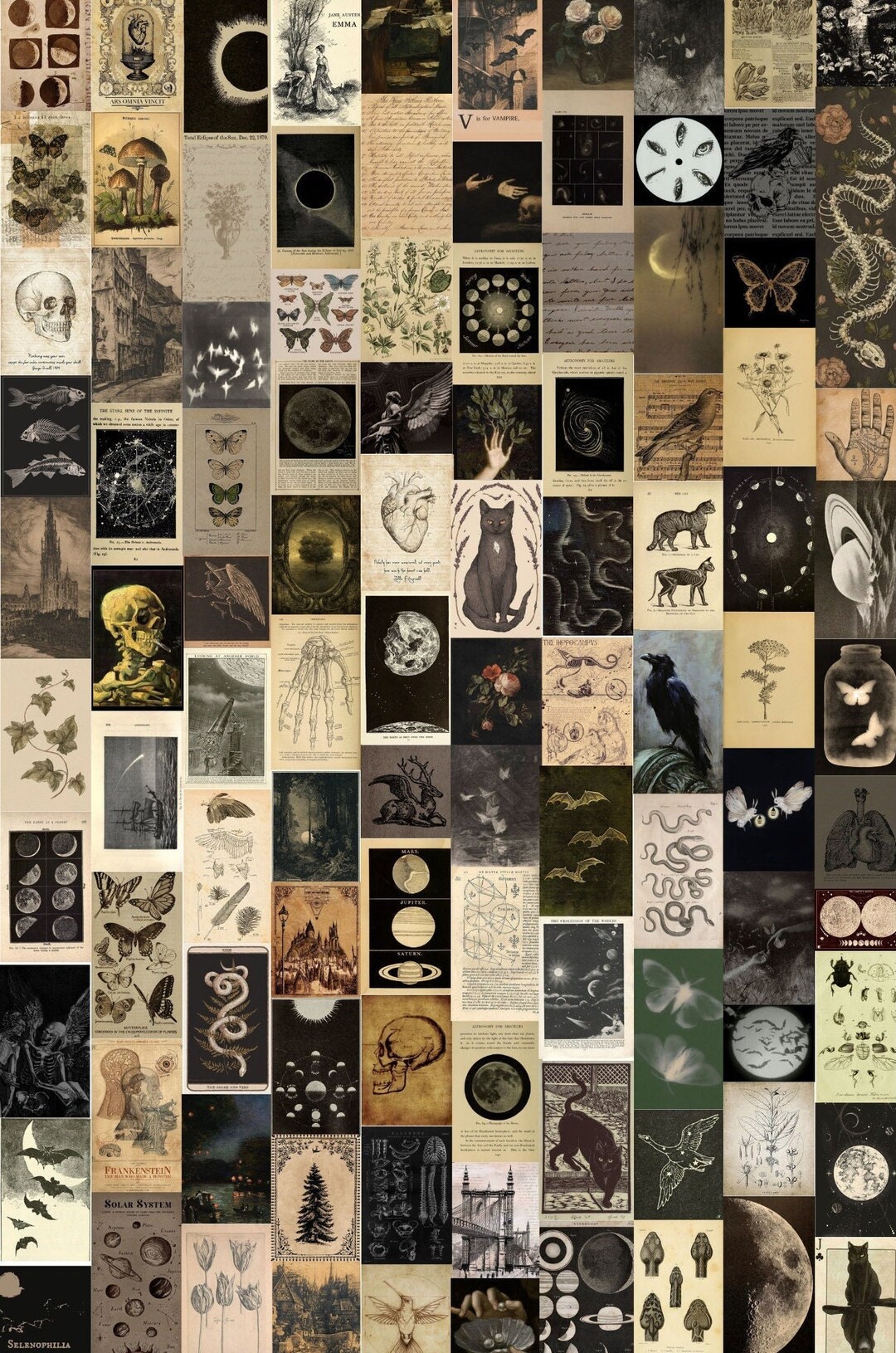 Dark Academia Wall Decor 111pcs Vintage Poster Wall Collage Kit Digital ...