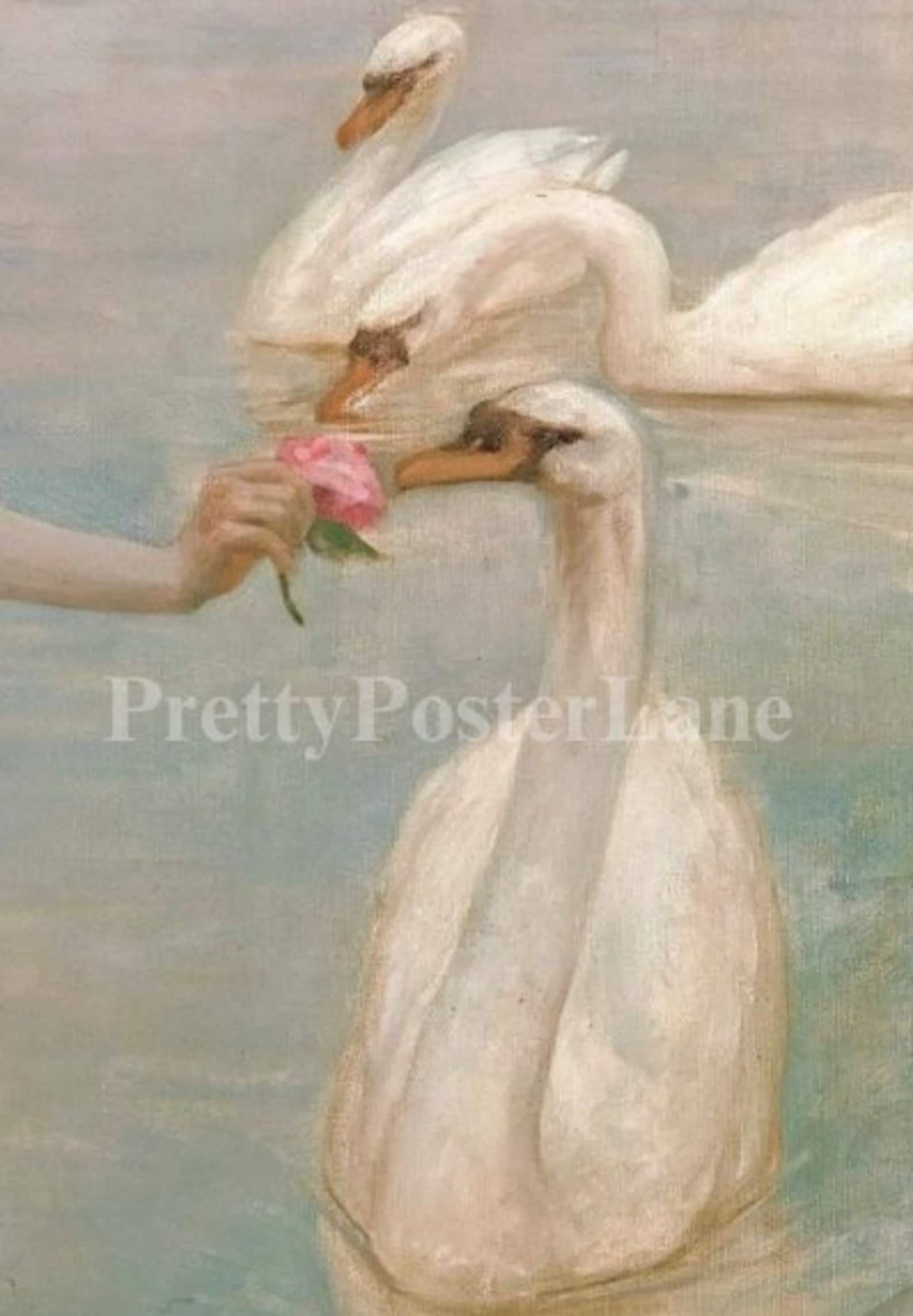 Aesthetic Coquette Collage Collage Kit | Aesthetic Poster Set | Pastel ...