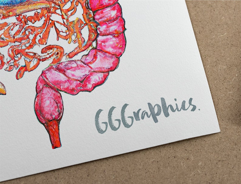 Totally Gutted Gastrointestinal Tract Poster Mixed Media Print ...