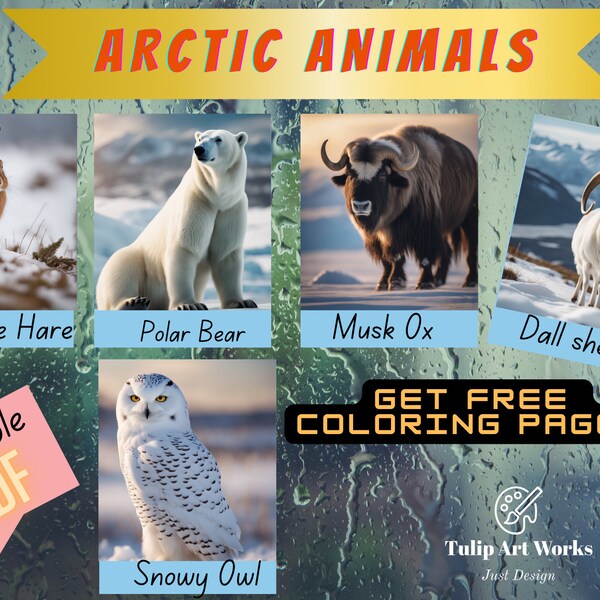 Arctic Animal Coloring Pages - Etsy