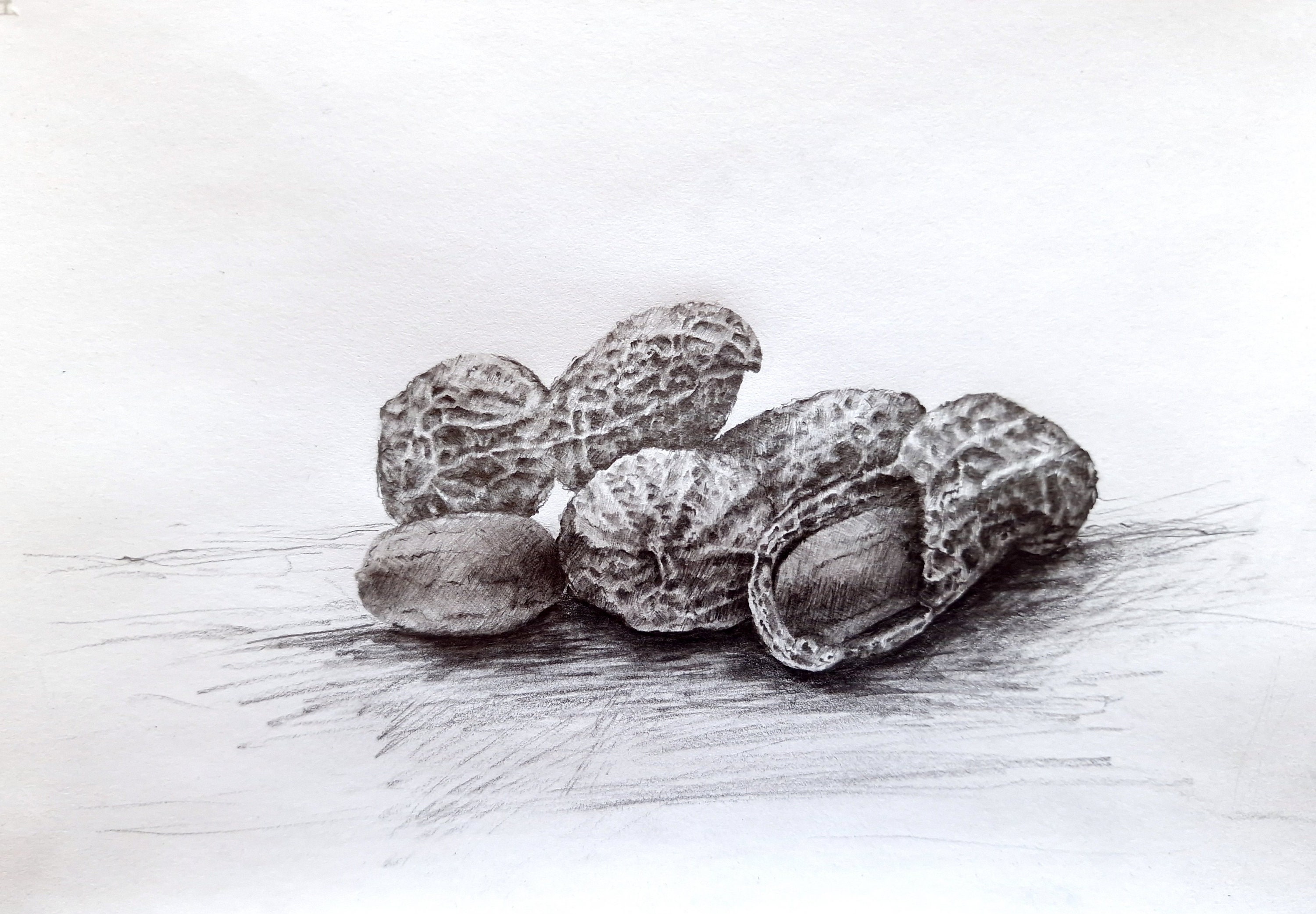 Realistic Handmade Sketch of the Peanuts - Etsy