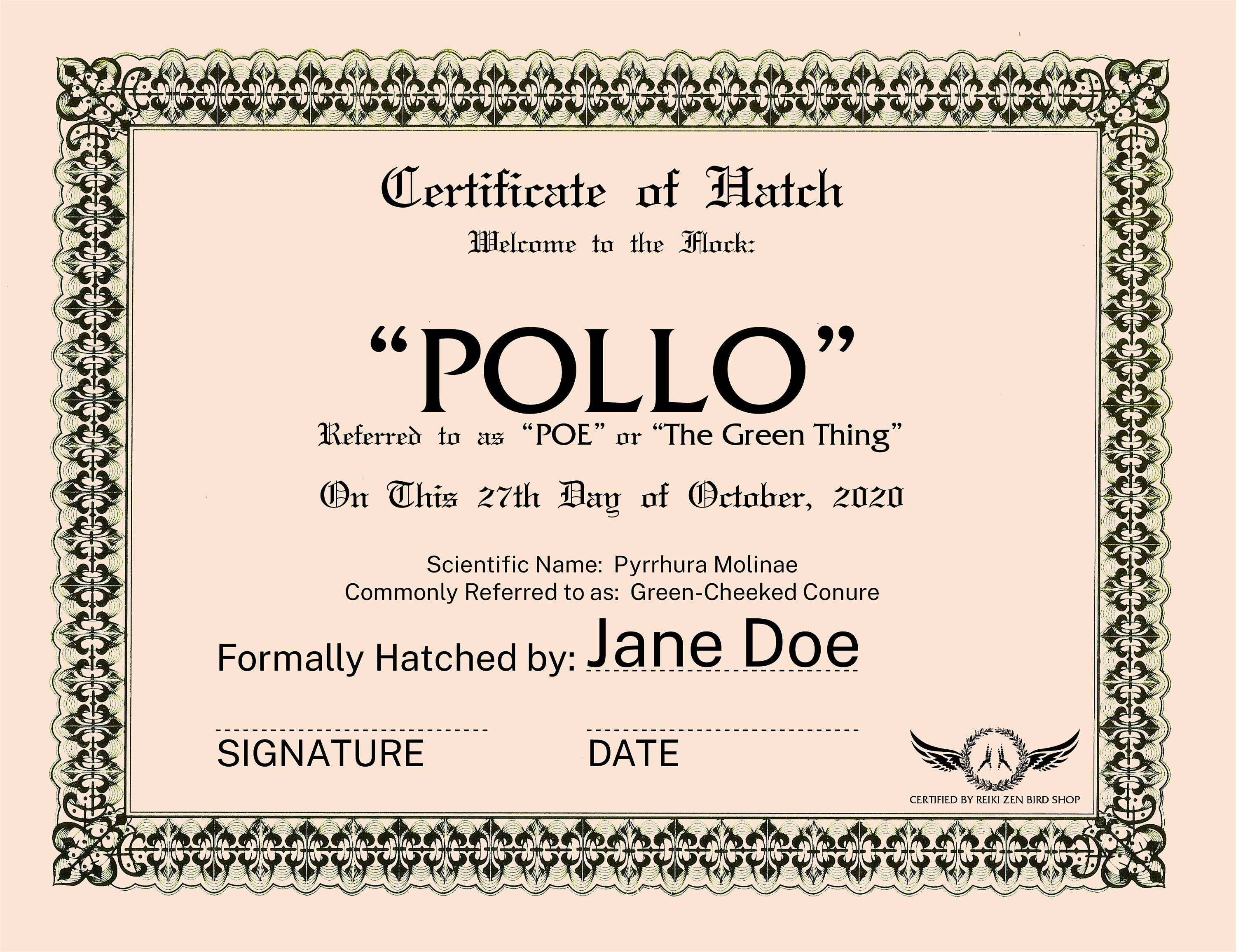 Bird Certificate of Adoption/hatch Free Shipping - Etsy