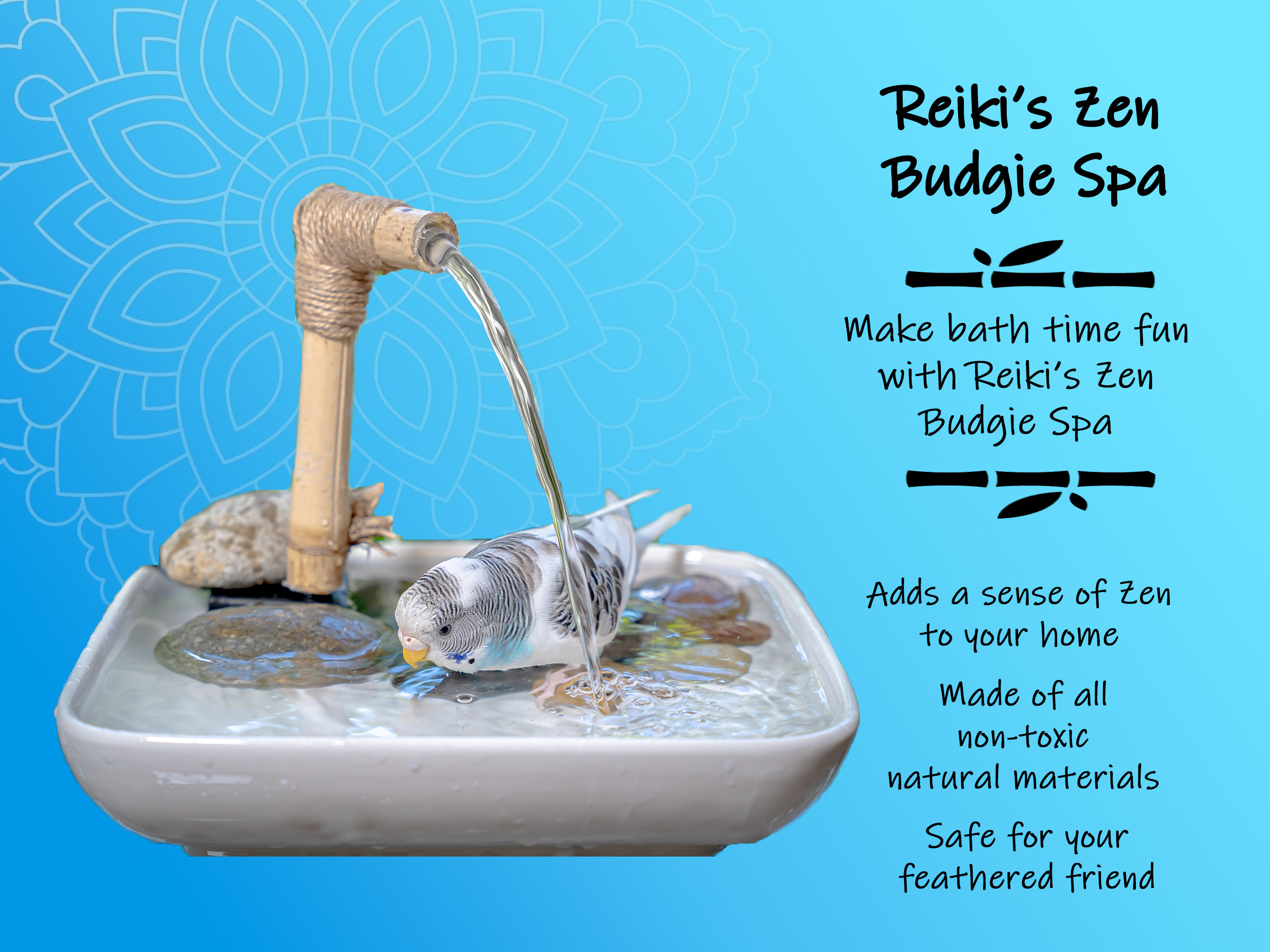 Reiki's Zen Budgie Spa Oasis Model Bird Bath Porcelain Bowl, Real ...