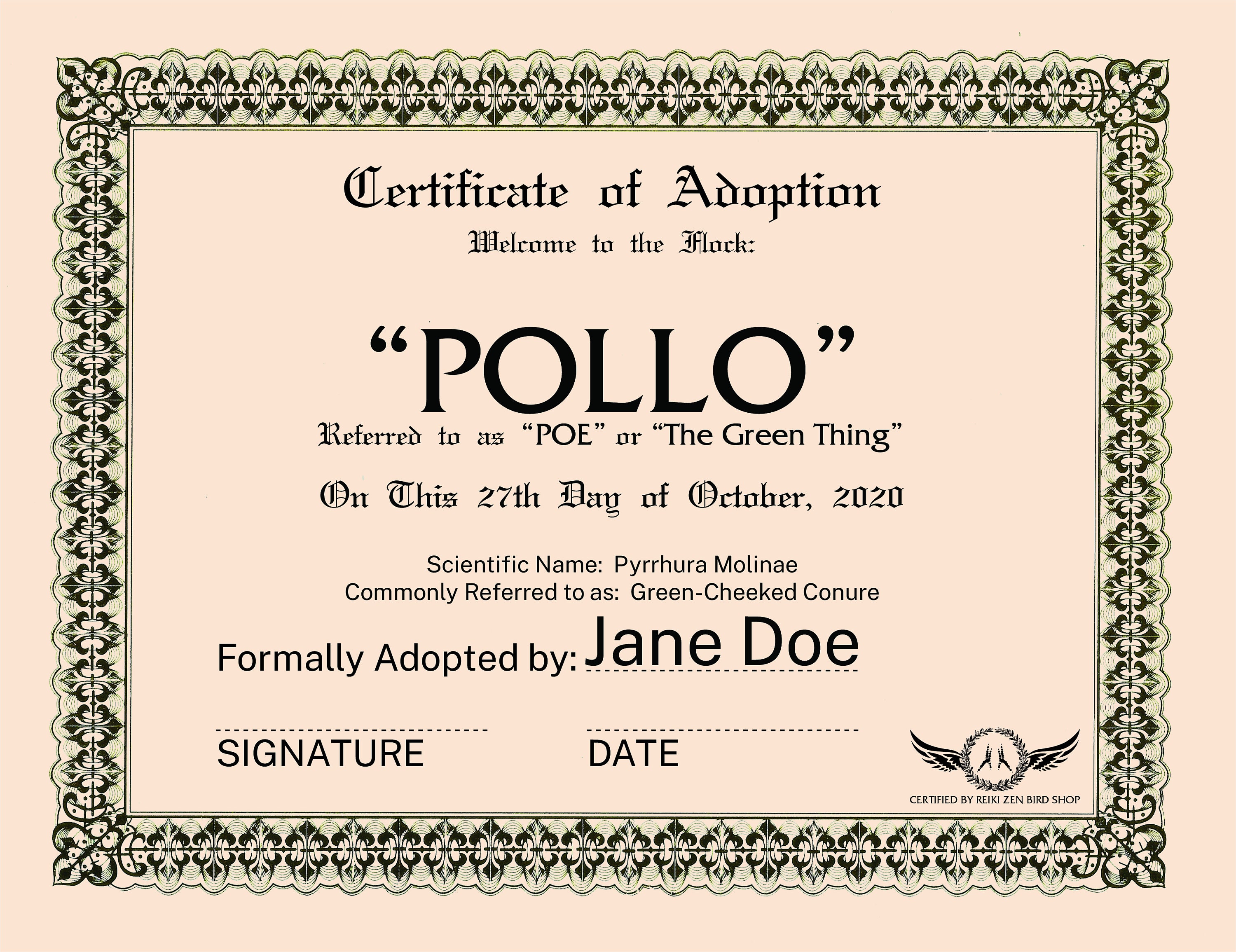 Bird Certificate of Adoption/hatch Free Shipping - Etsy