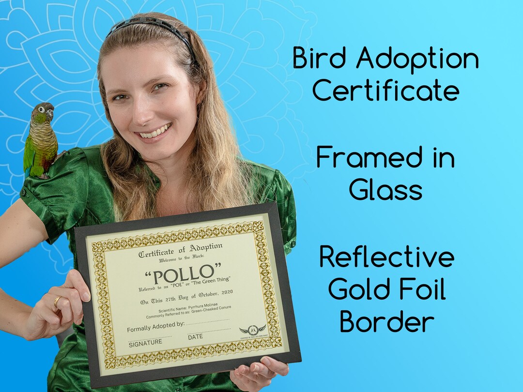 Bird Certificate of Adoption/hatch Free Shipping - Etsy