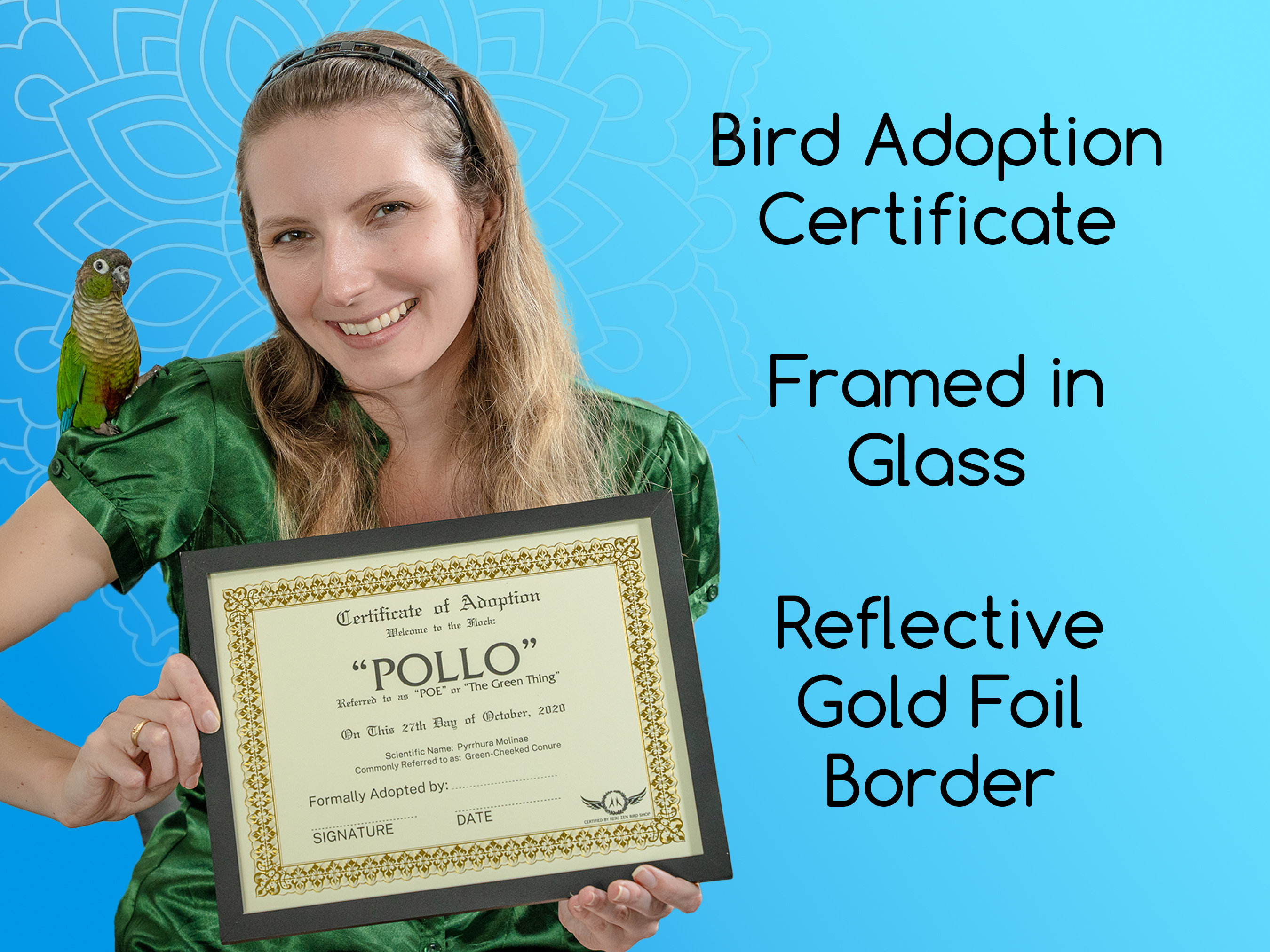 Bird Certificate of Adoption/hatch Free Shipping - Etsy