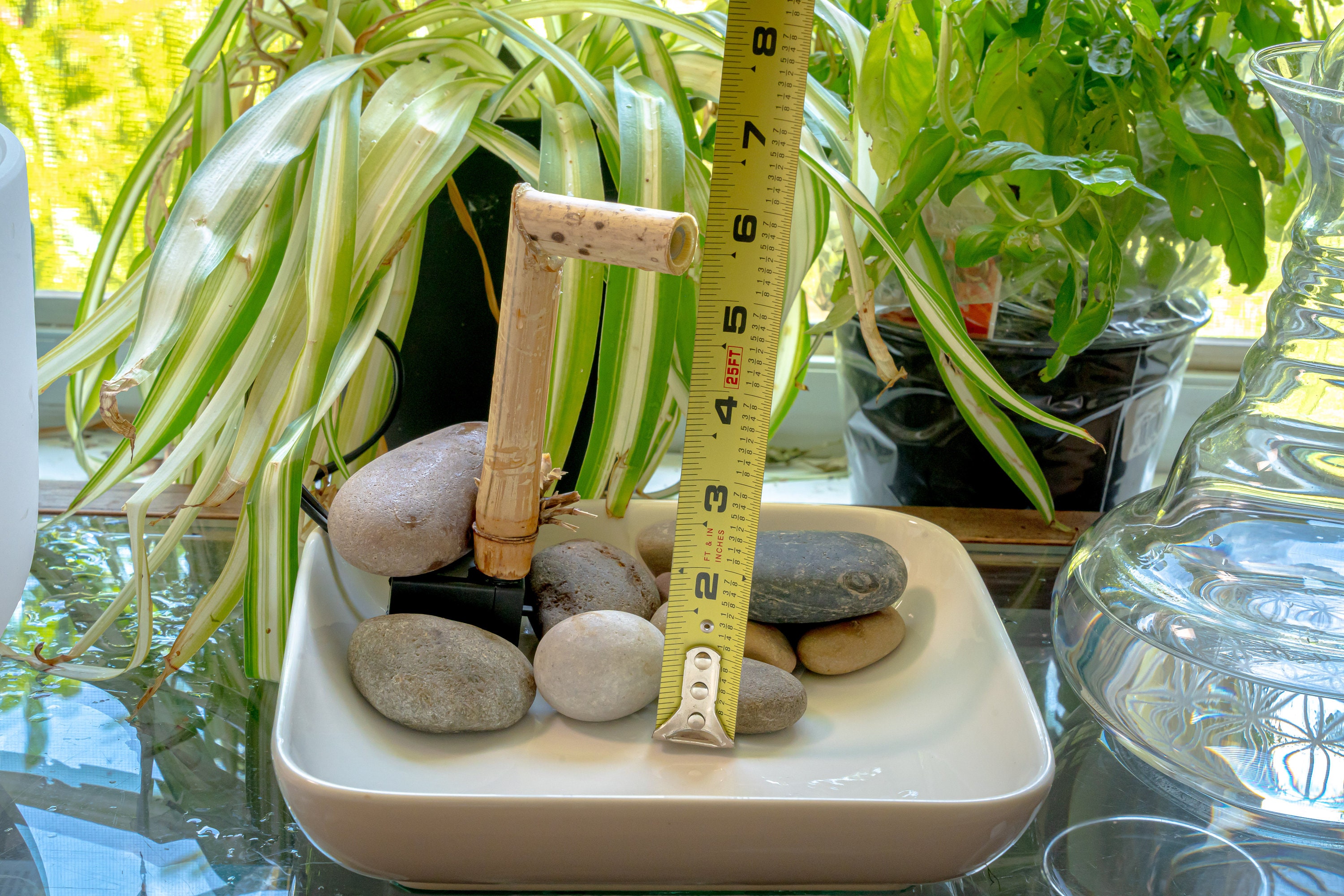 Reiki's Zen Budgie Spa Oasis Model Bird Bath Porcelain Bowl, Real ...