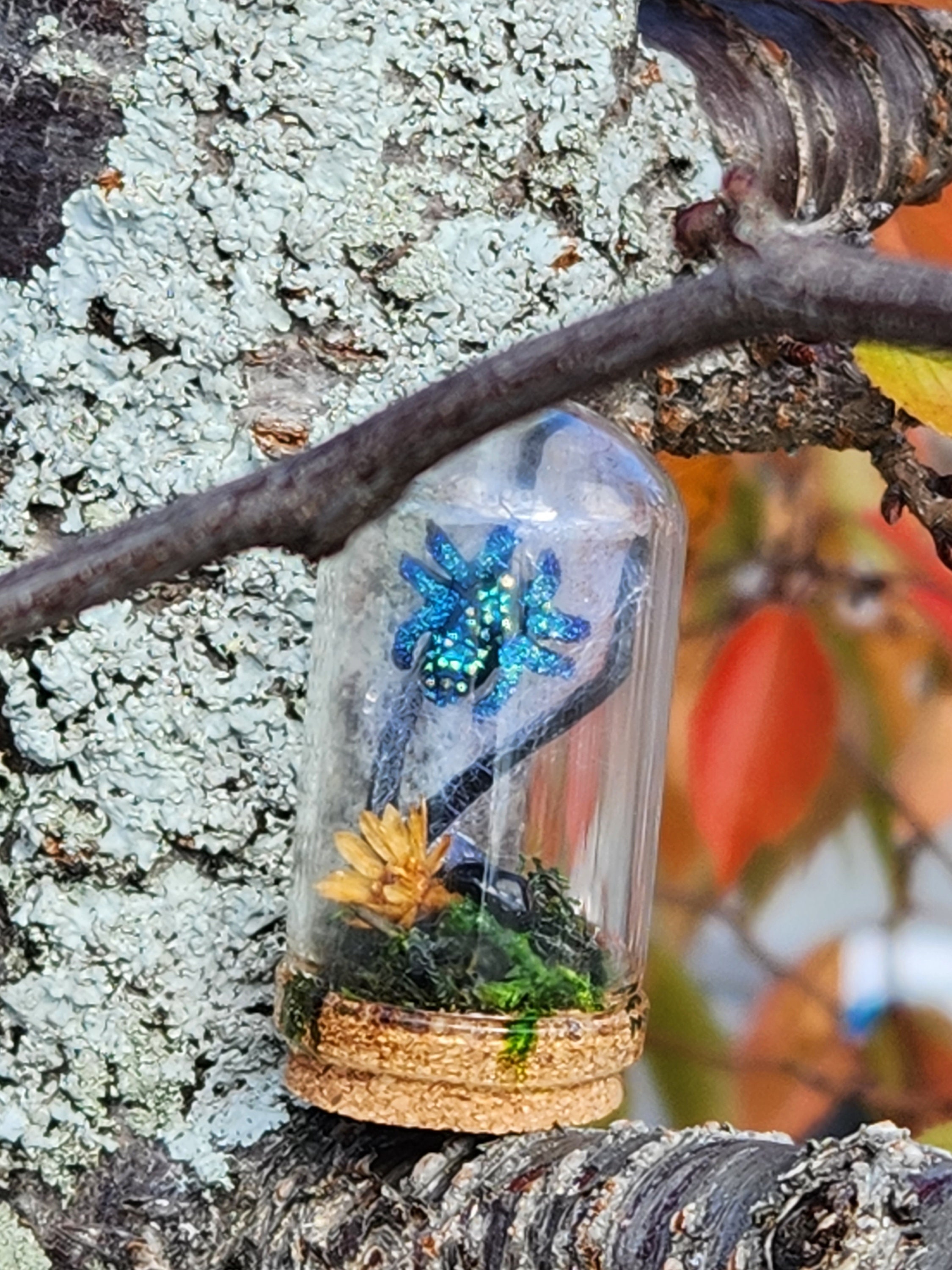 Mini Spider Terrarium - Etsy