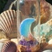 Mini Opal Moon Terrarium - Etsy