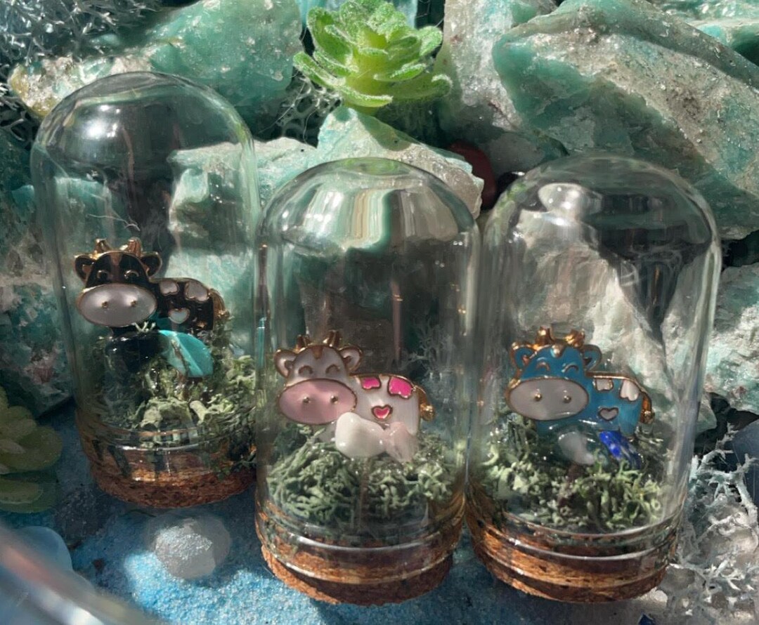Mini Cow Terrarium - Etsy