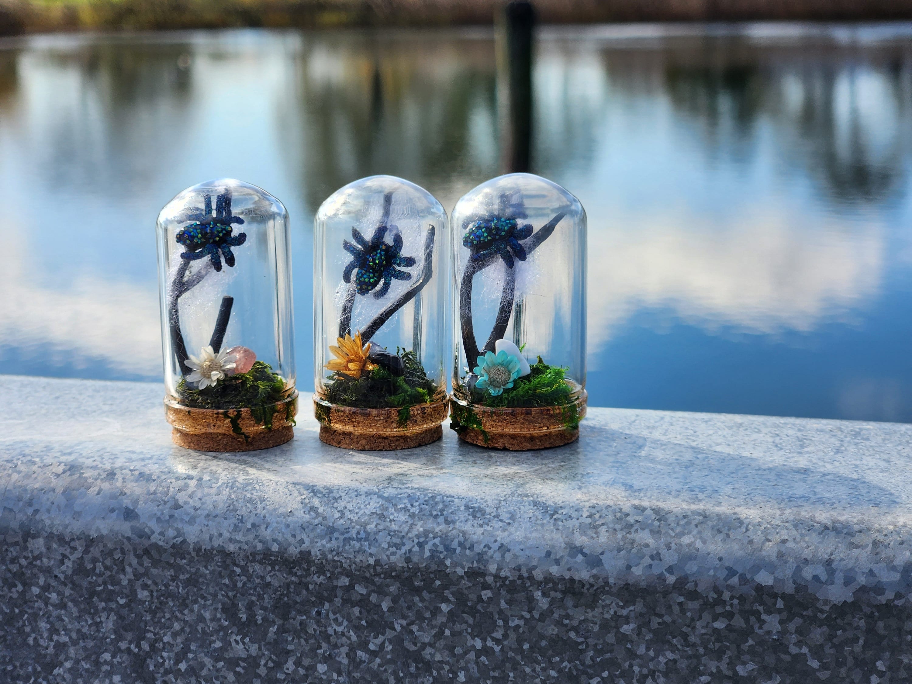 Mini Spider Terrarium - Etsy
