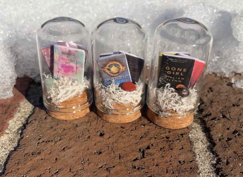 Mini Book Terrarium - Etsy