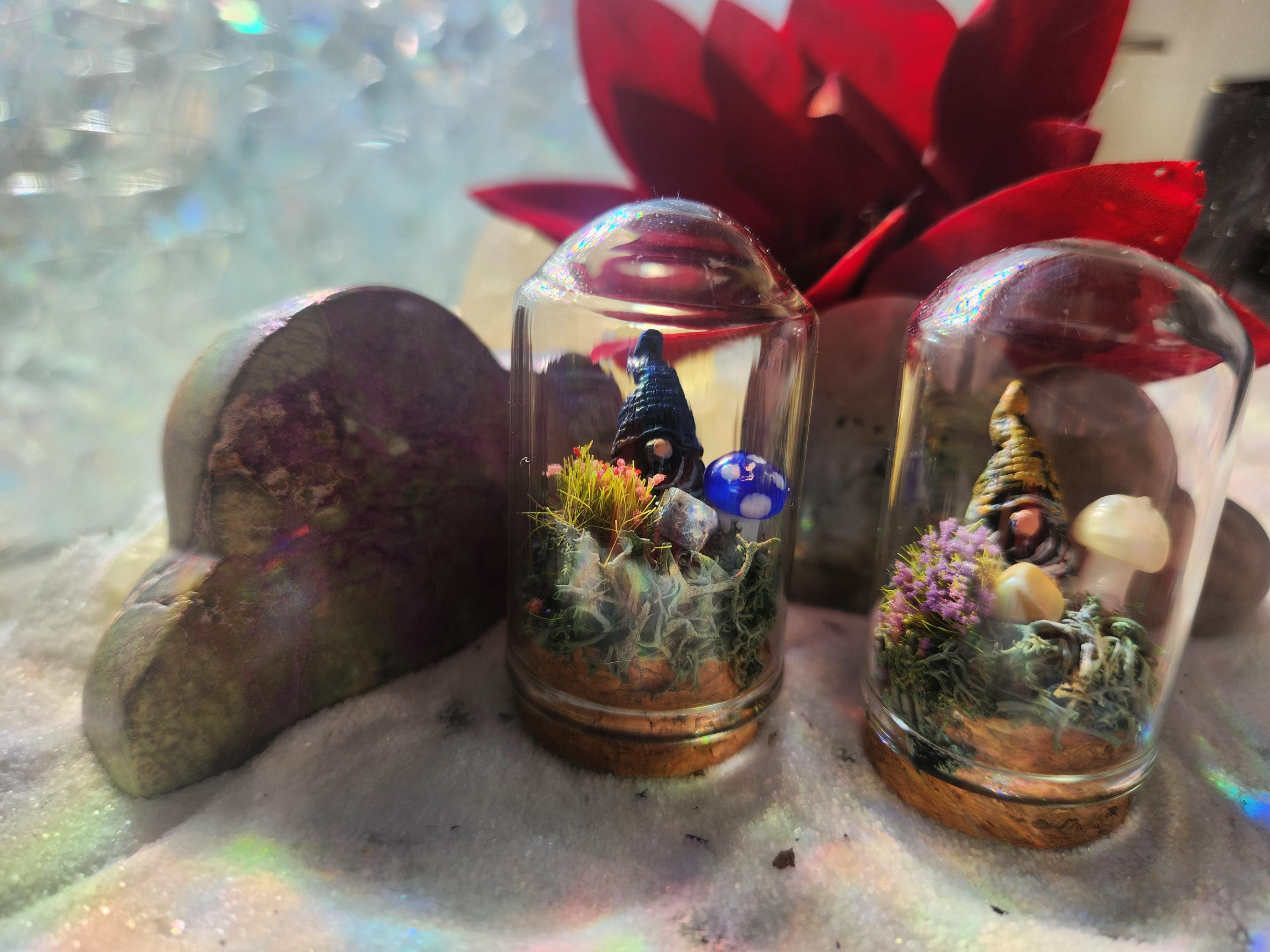 Mini Gnome Terrarium - Etsy