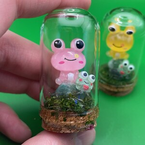 Mini Frog Terrarium - Etsy
