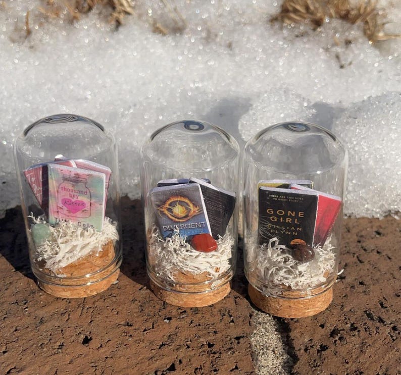 Mini Book Terrarium - Etsy