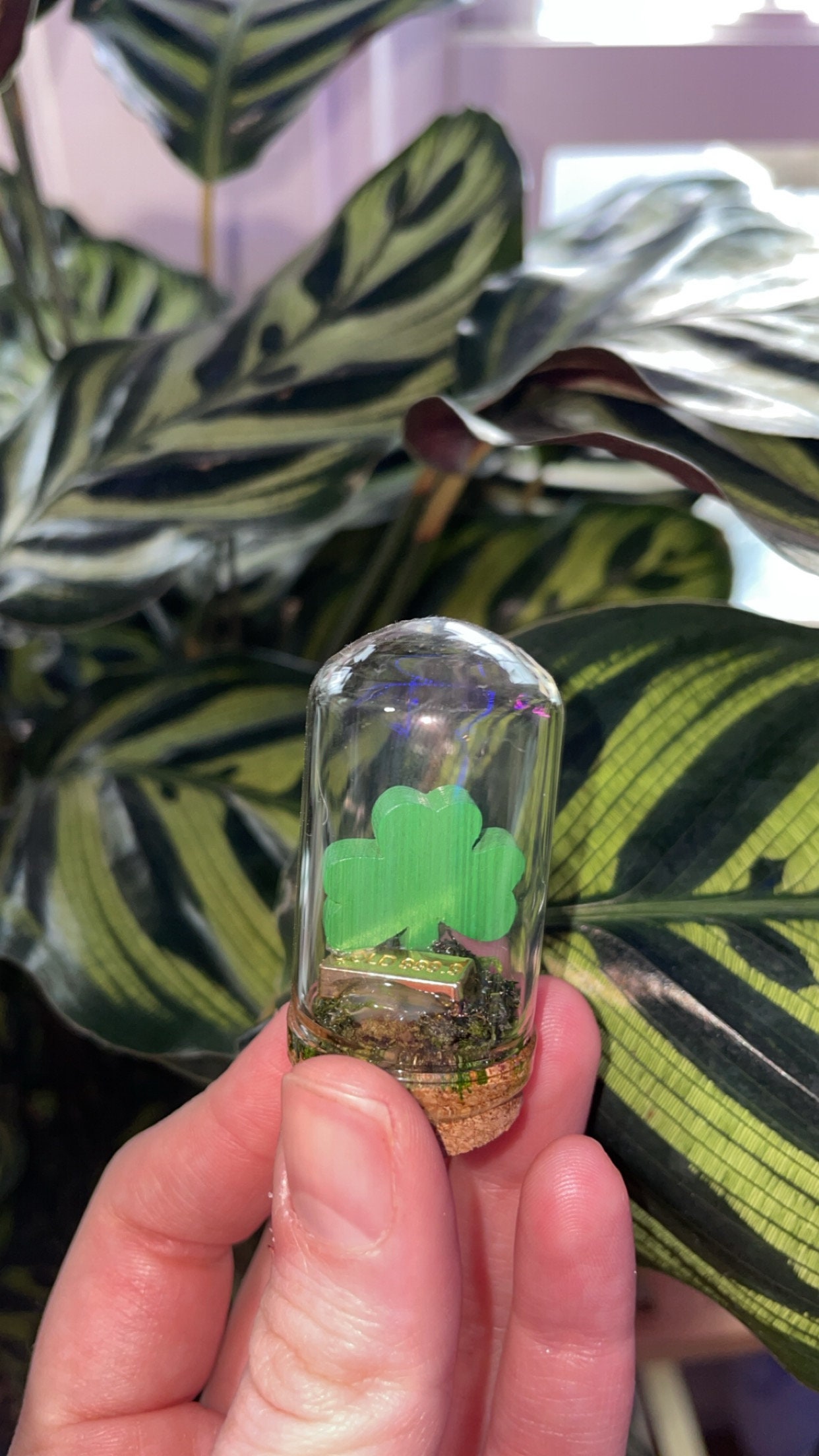 Mini Four-leaf Clover Terrarium - Etsy