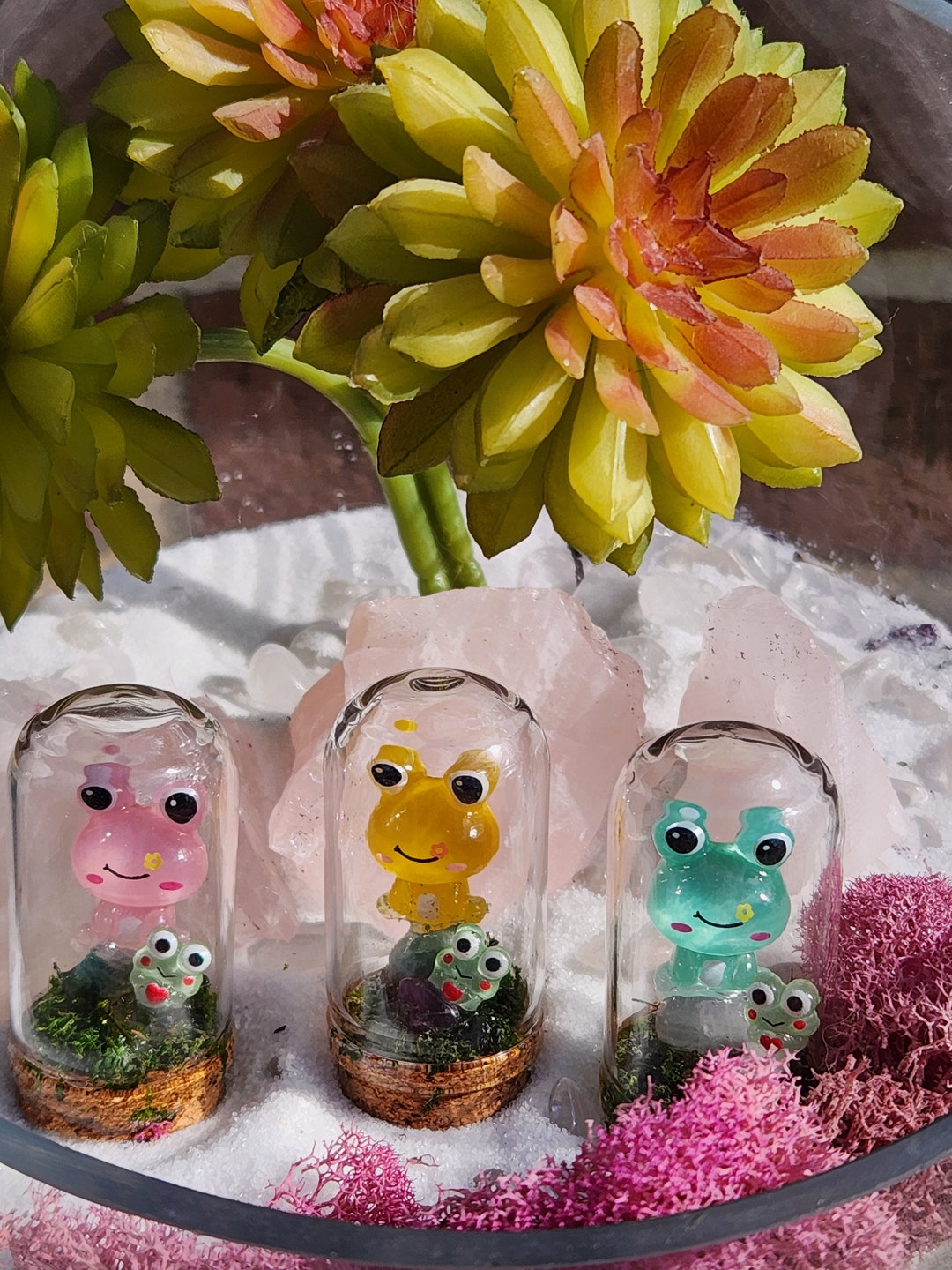 Mini Frog Terrarium - Etsy
