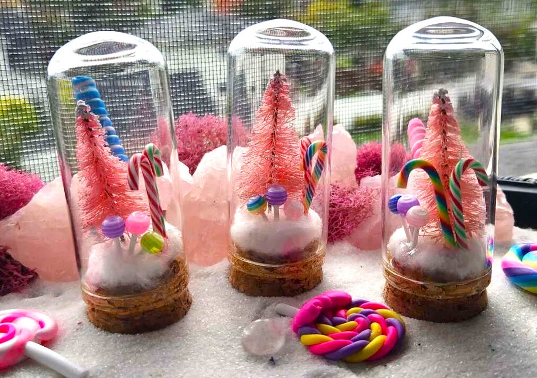 Mini Pink Tree Terrarium - Etsy