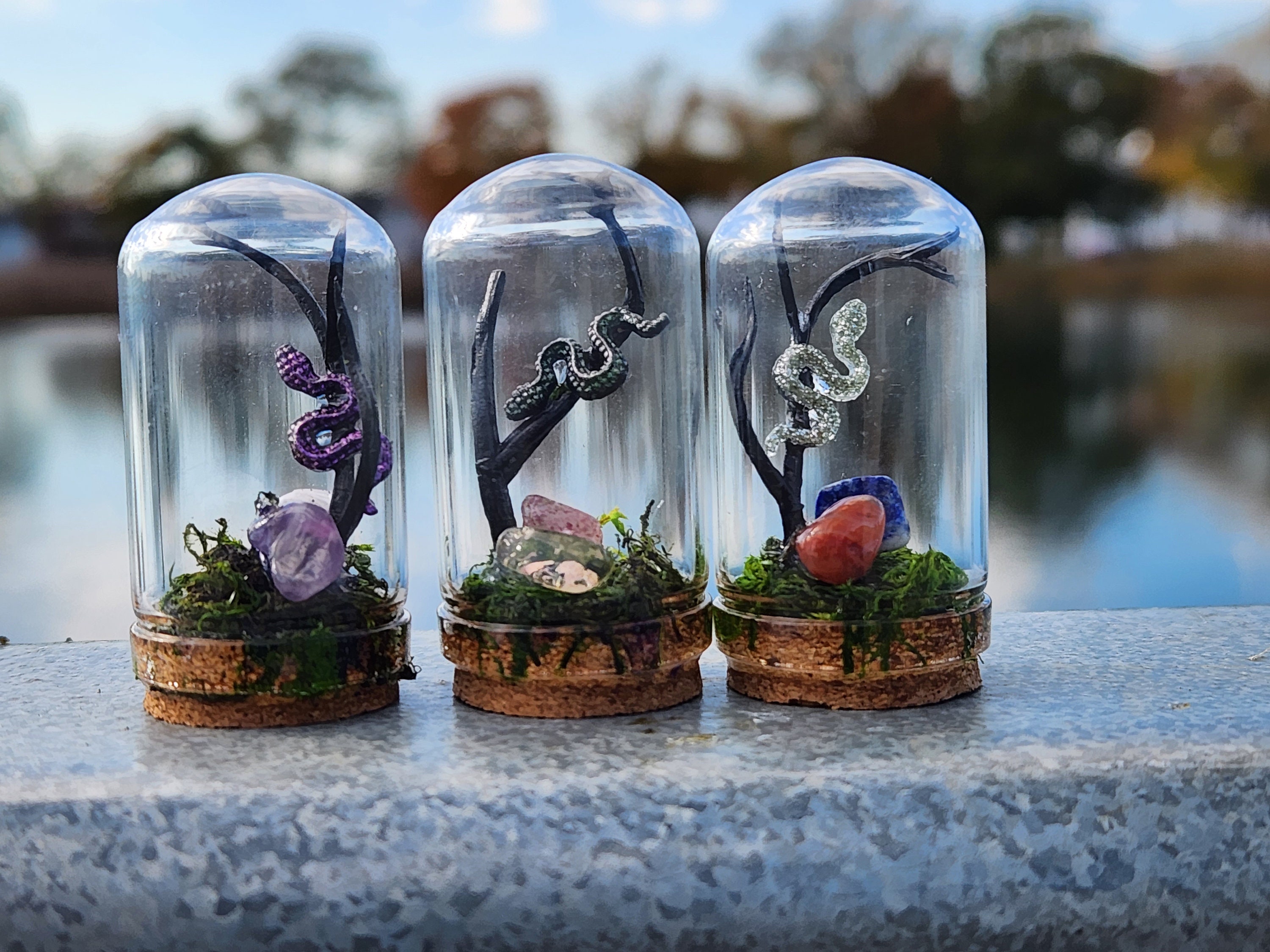 Mini Snake Terrarium - Etsy