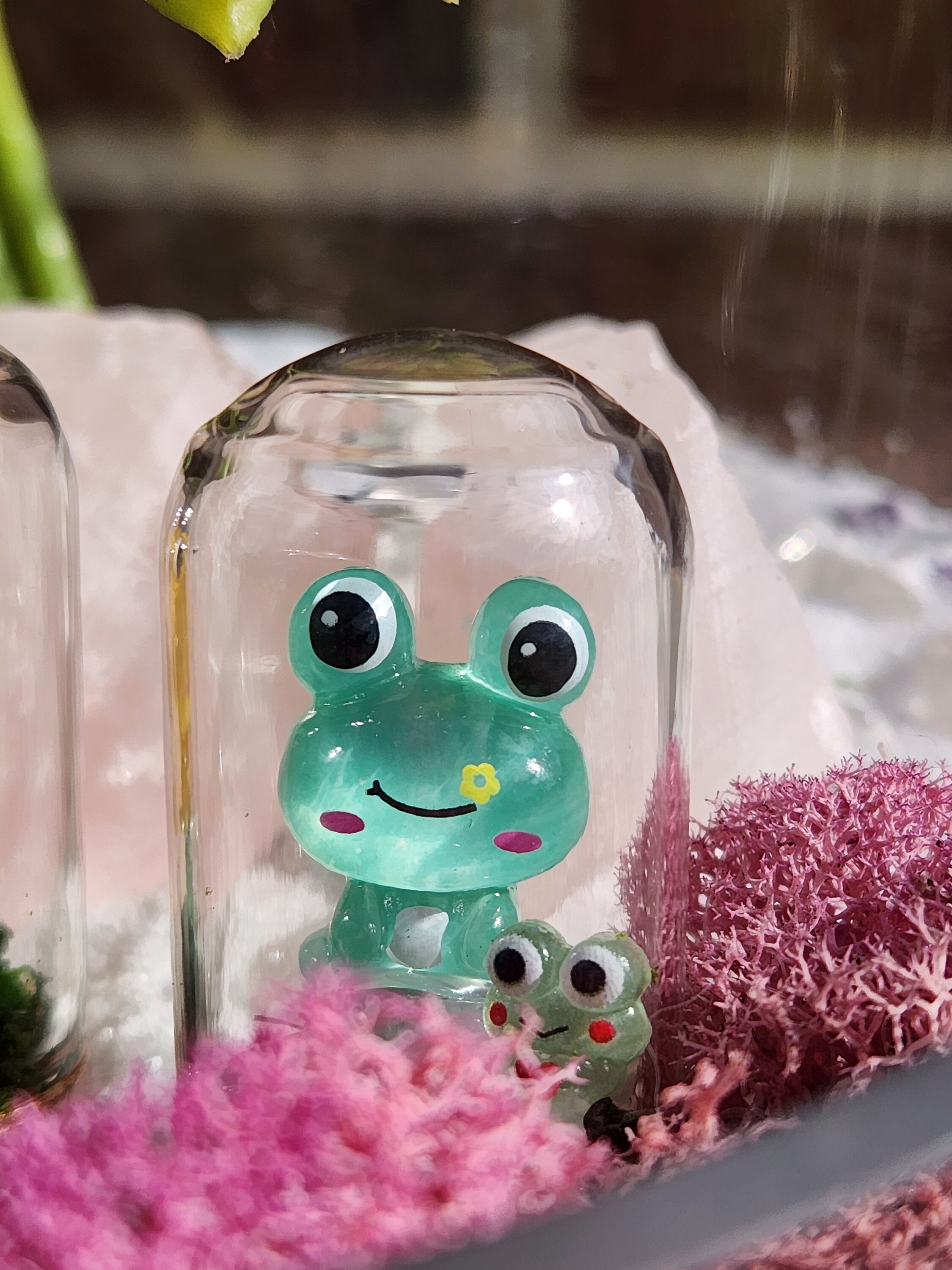 Mini Frog Terrarium - Etsy
