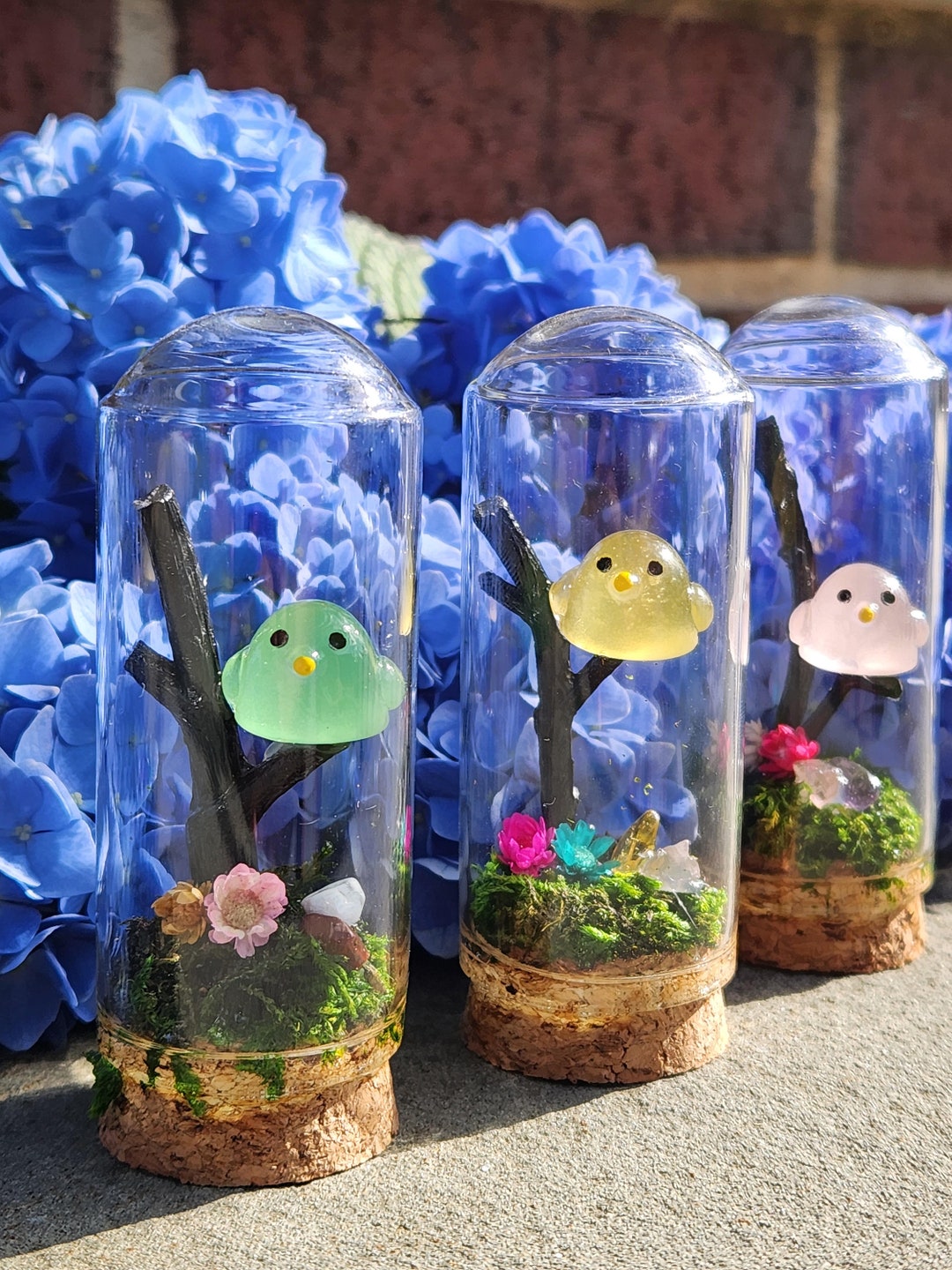 Mini Bird Terrarium - Etsy