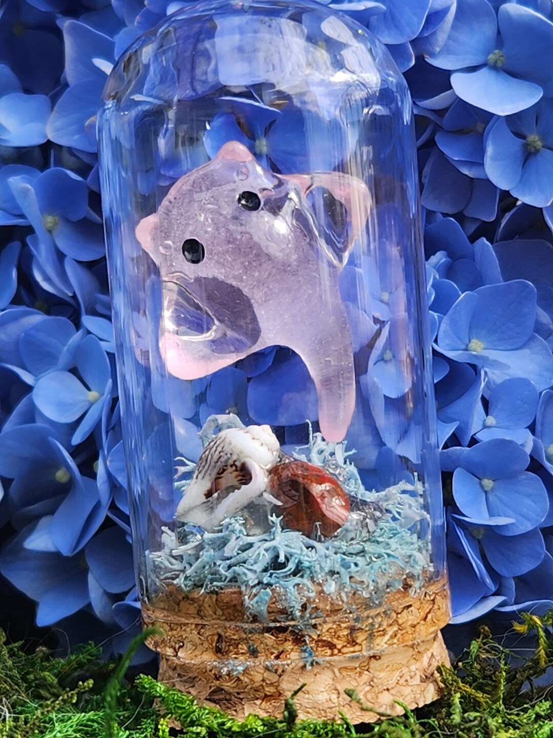 Mini Stingray Terrarium - Etsy