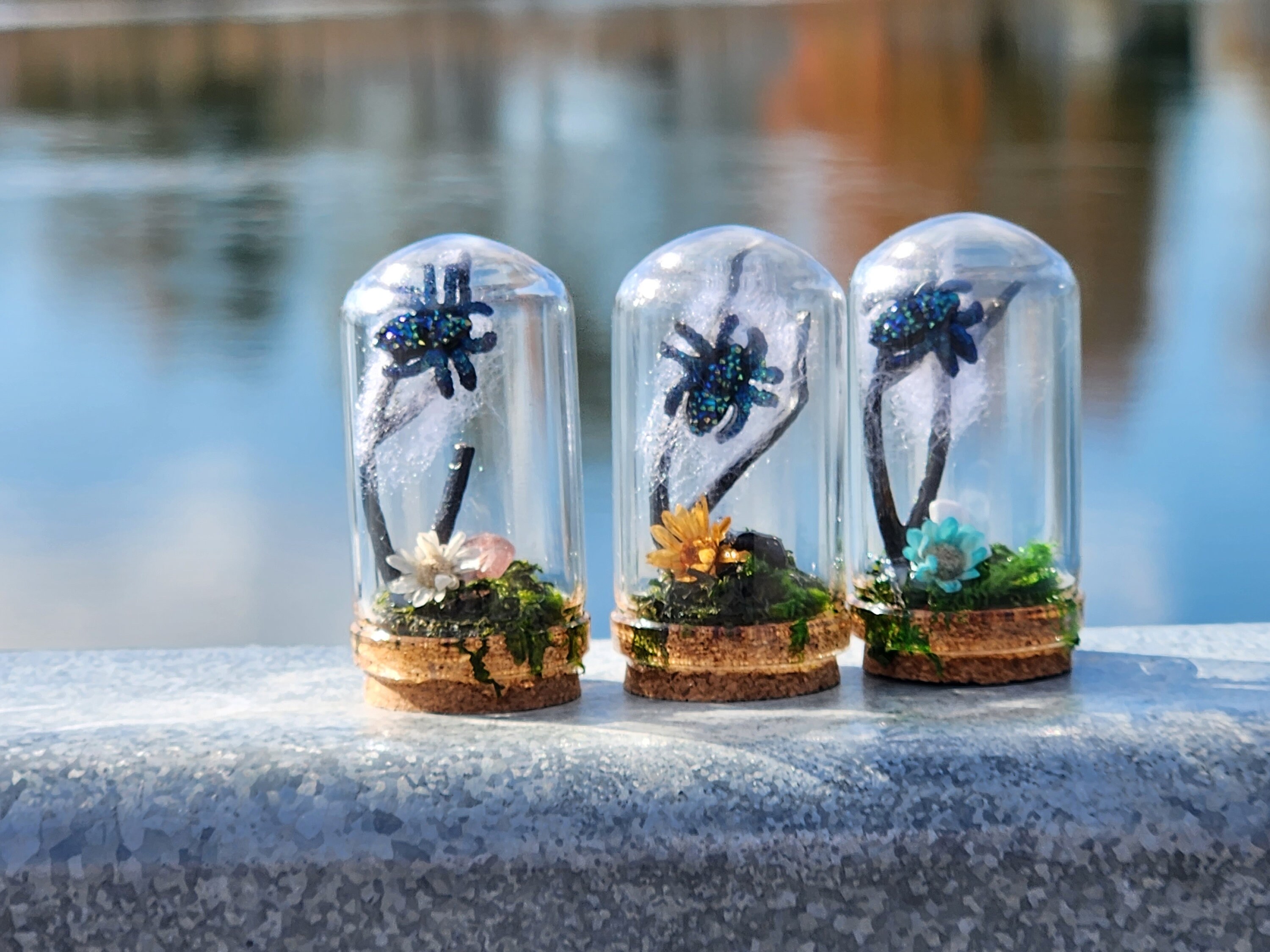 Mini Spider Terrarium - Etsy
