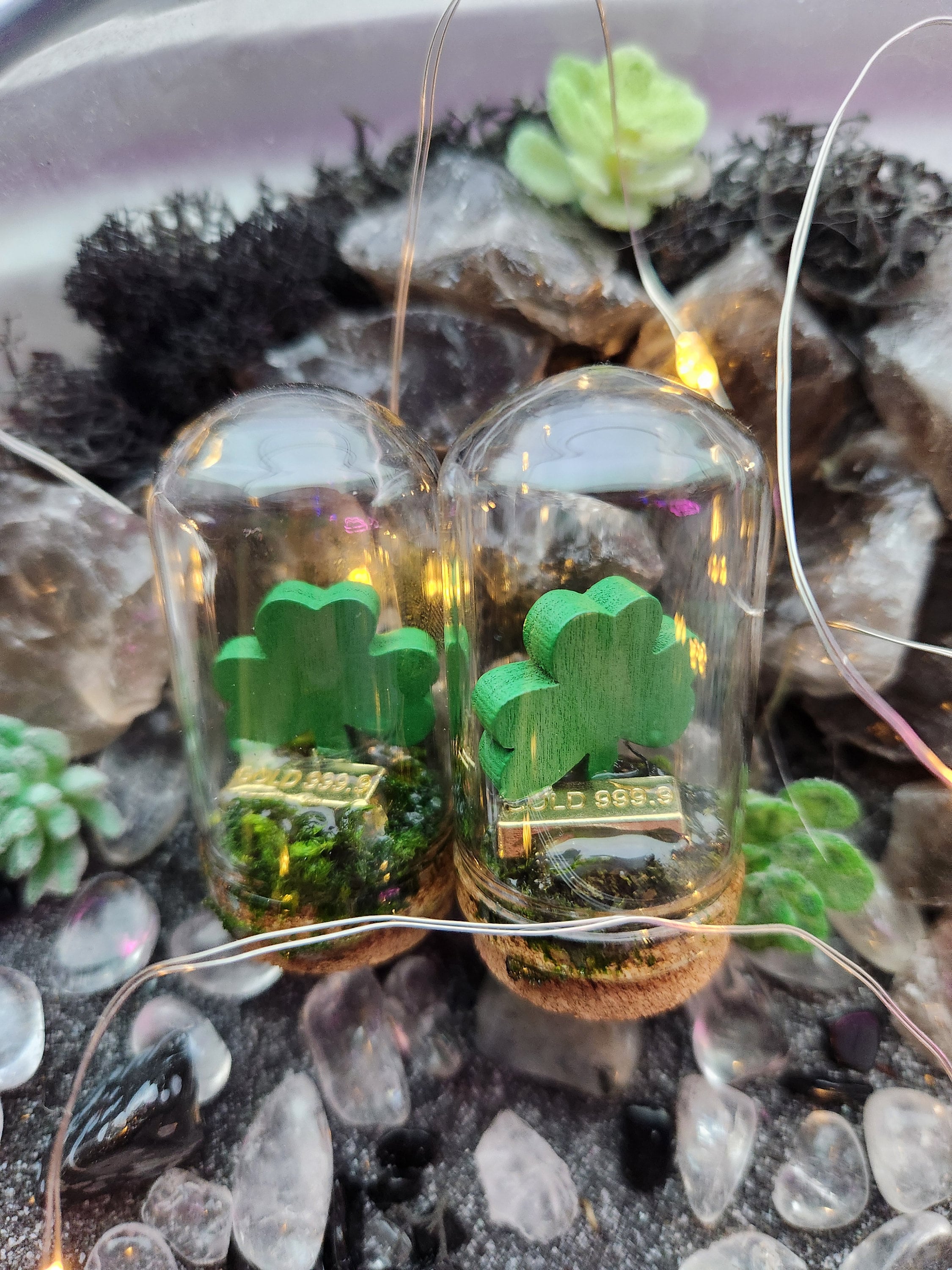 Mini Four-leaf Clover Terrarium - Etsy