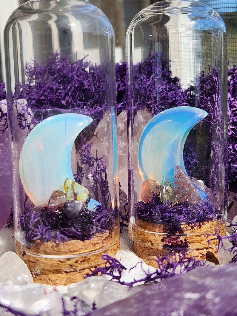 Mini Opal Moon Terrarium - Etsy