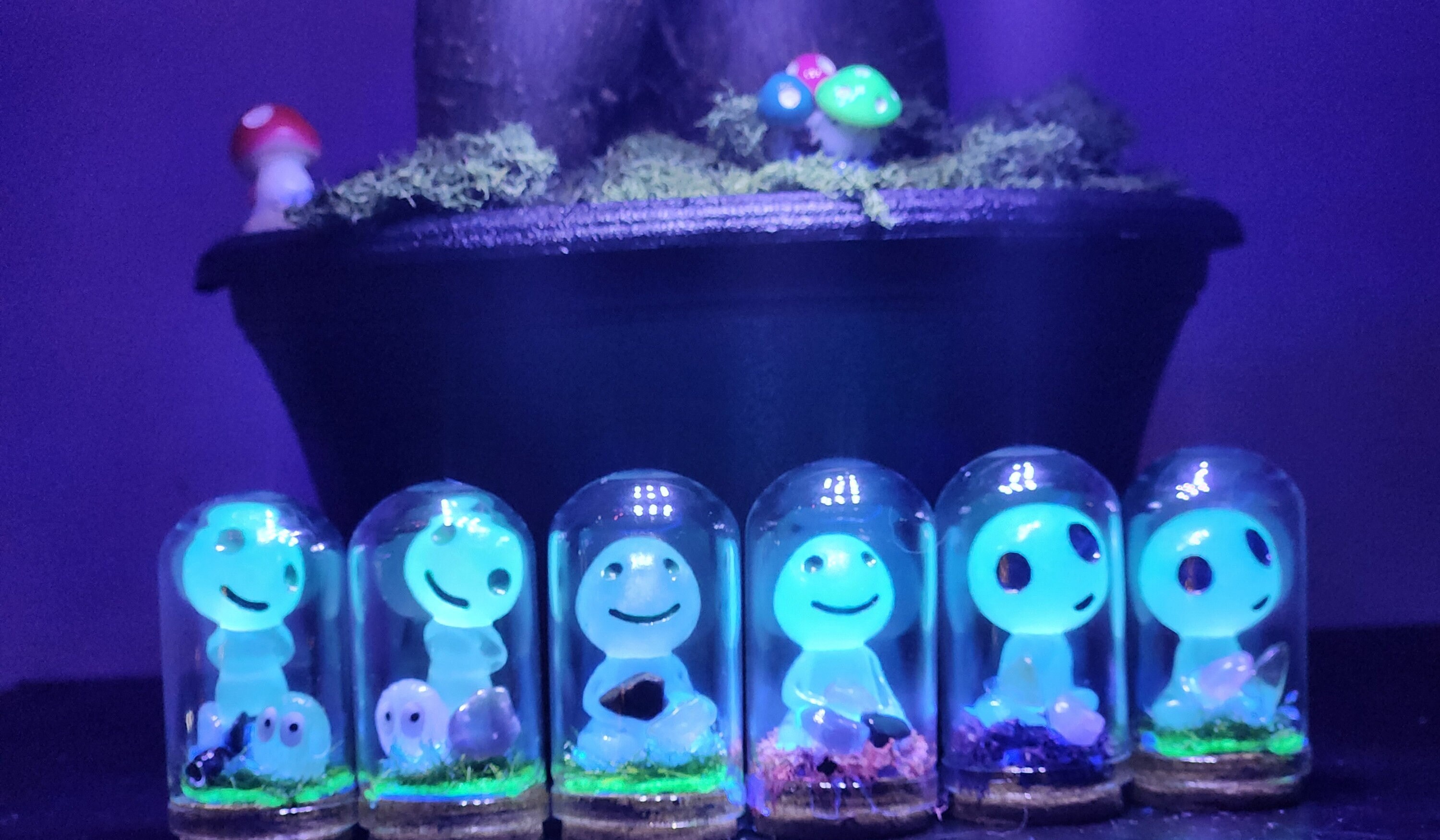 Mini Alien Terrarium - Etsy