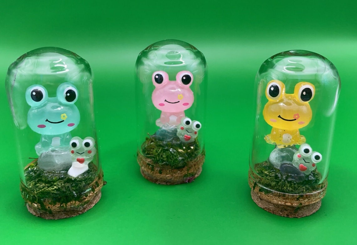 Mini Frog Terrarium - Etsy