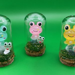 Mini Frog Terrarium - Etsy