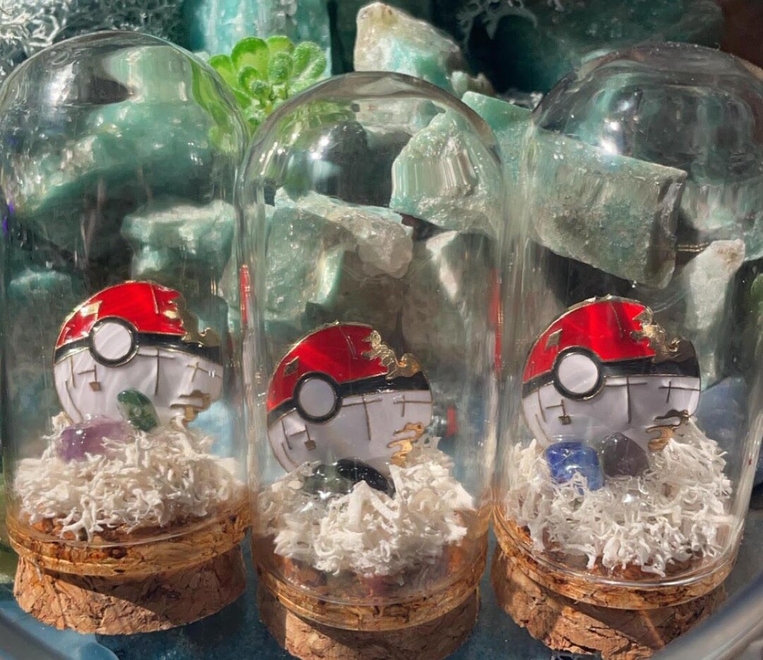 Mini Pokeball Terrarium - Etsy