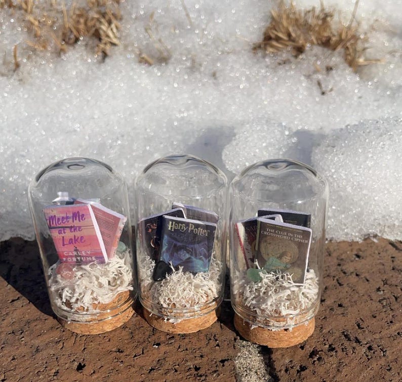 Mini Book Terrarium - Etsy