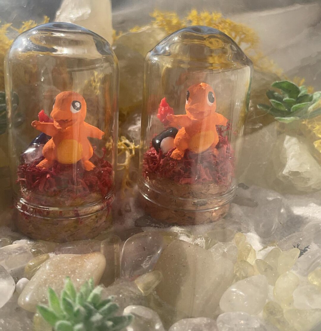 Mini Charmander Terrarium - Etsy