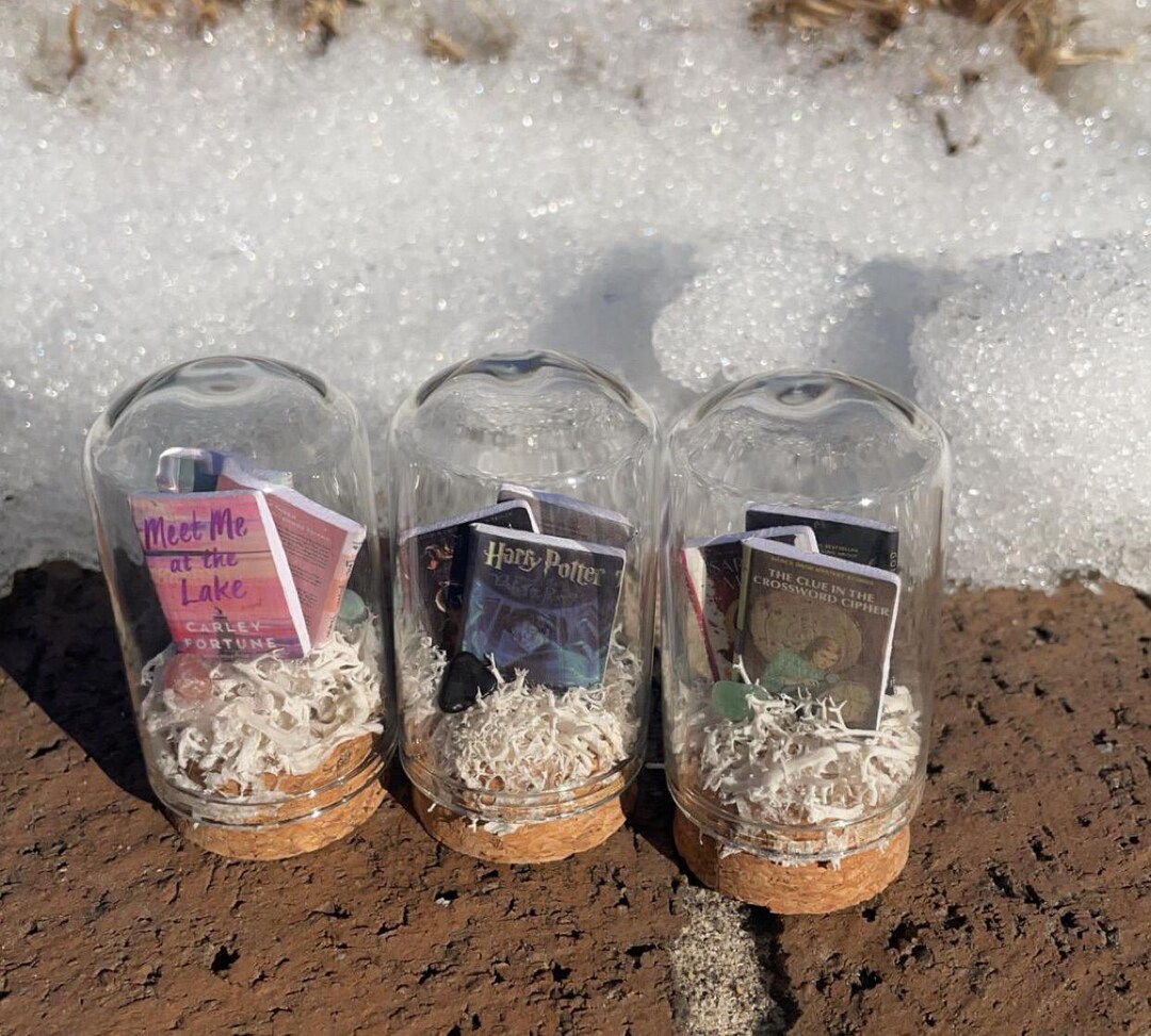 Mini Book Terrarium - Etsy
