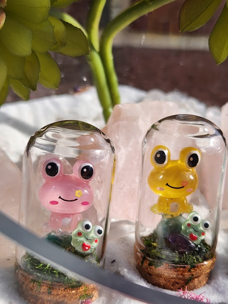 Mini Frog Terrarium - Etsy