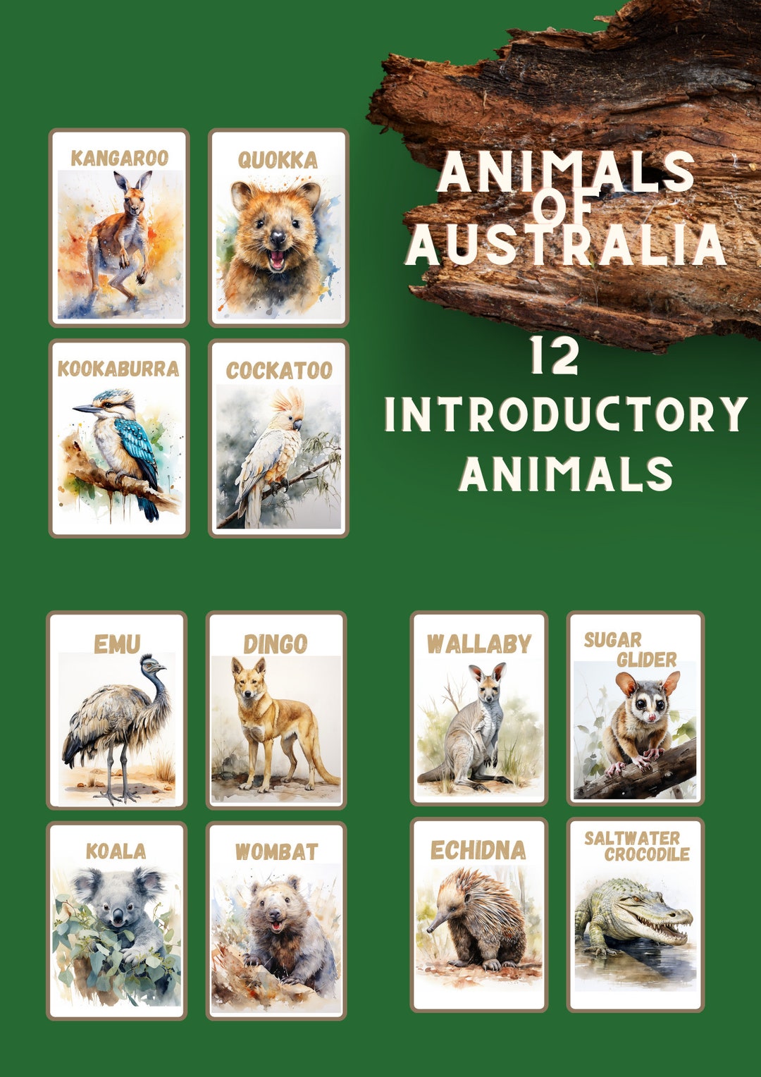 Animals of Australia Flashcards Educational Printable - Etsy
