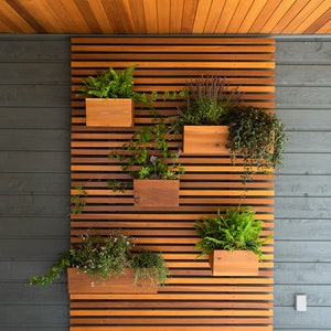 How to Modern Plant Trellis Wall Plans ( Simple 1 Day Build ) - Etsy