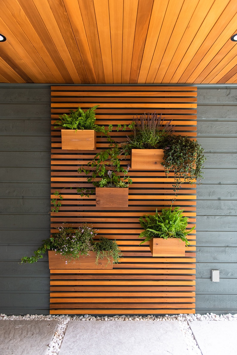 How to Modern Plant Trellis Wall Plans ( Simple 1 Day Build ) - Etsy