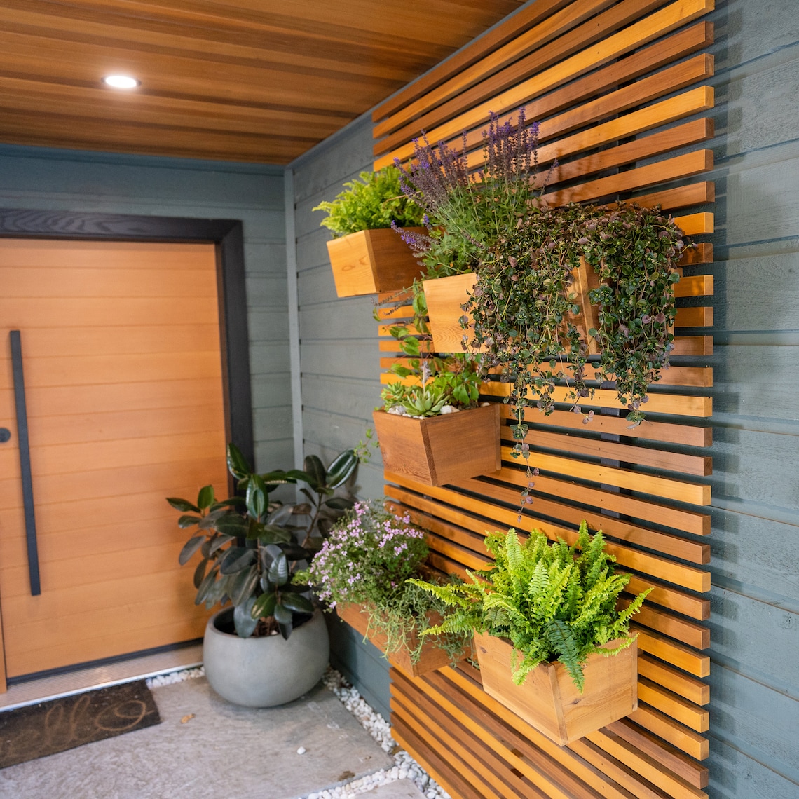 How to Modern Plant Trellis Wall Plans Simple 1 Day Build - Etsy