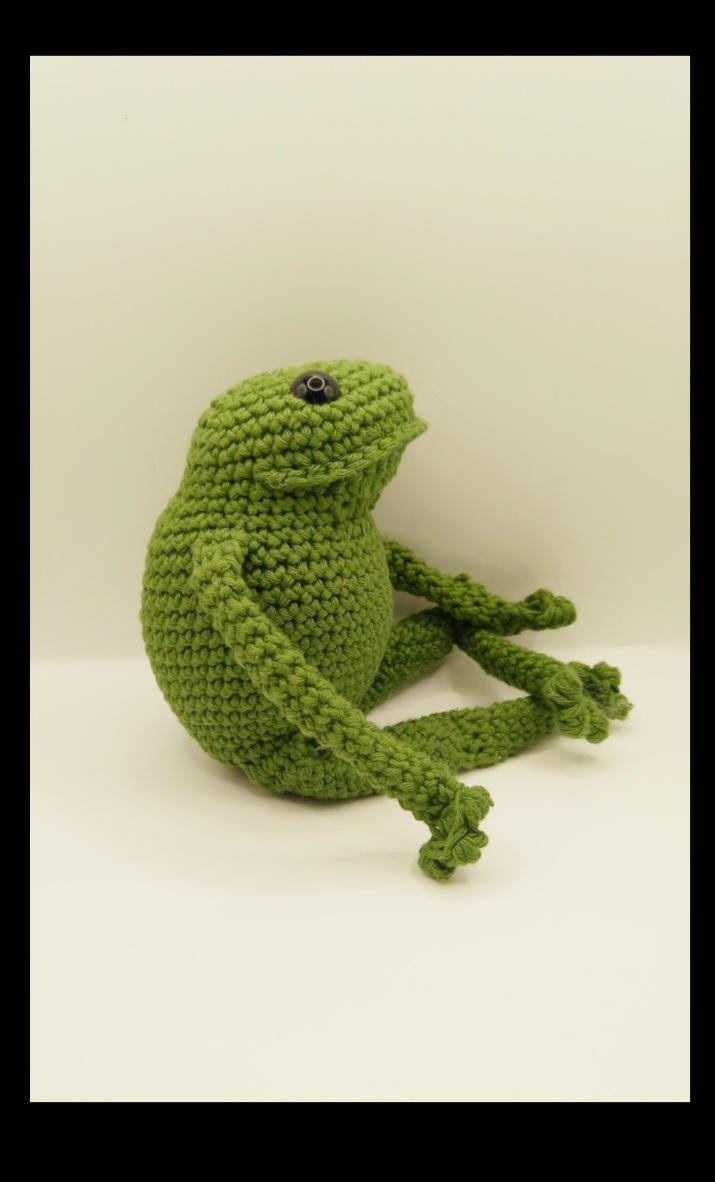 Adorable Derpy Crochet Frog Pattern Only U.S No Sew - Etsy