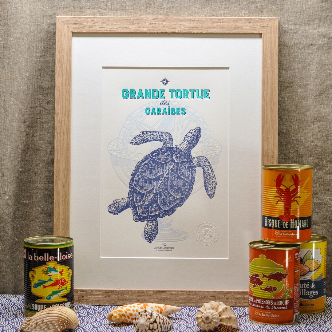 Large Caribbean Turtle Letterpress Poster - Etsy