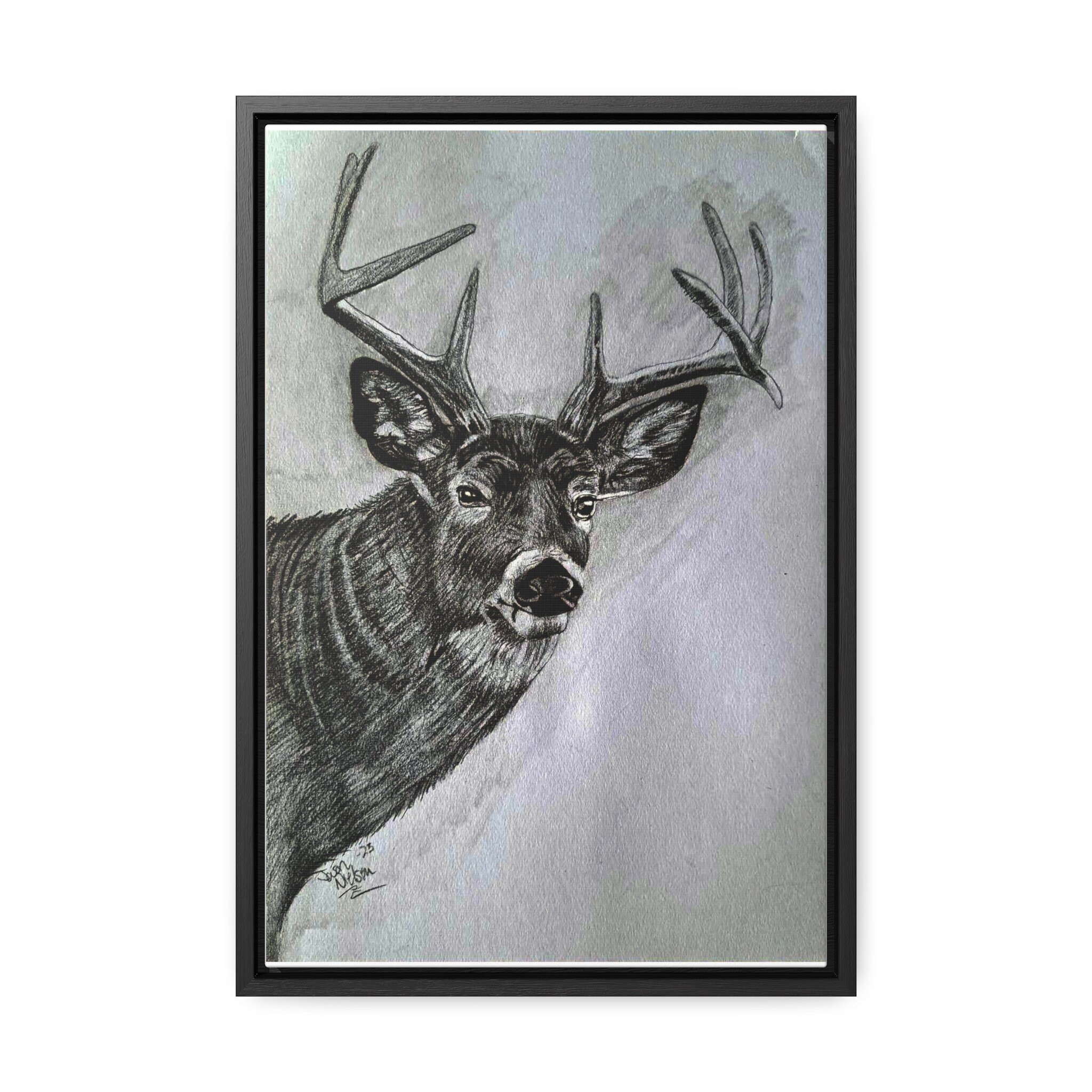 Whitetail Deer Buck Graphite Drawing Gallery Canvas Wraps, Vertical ...