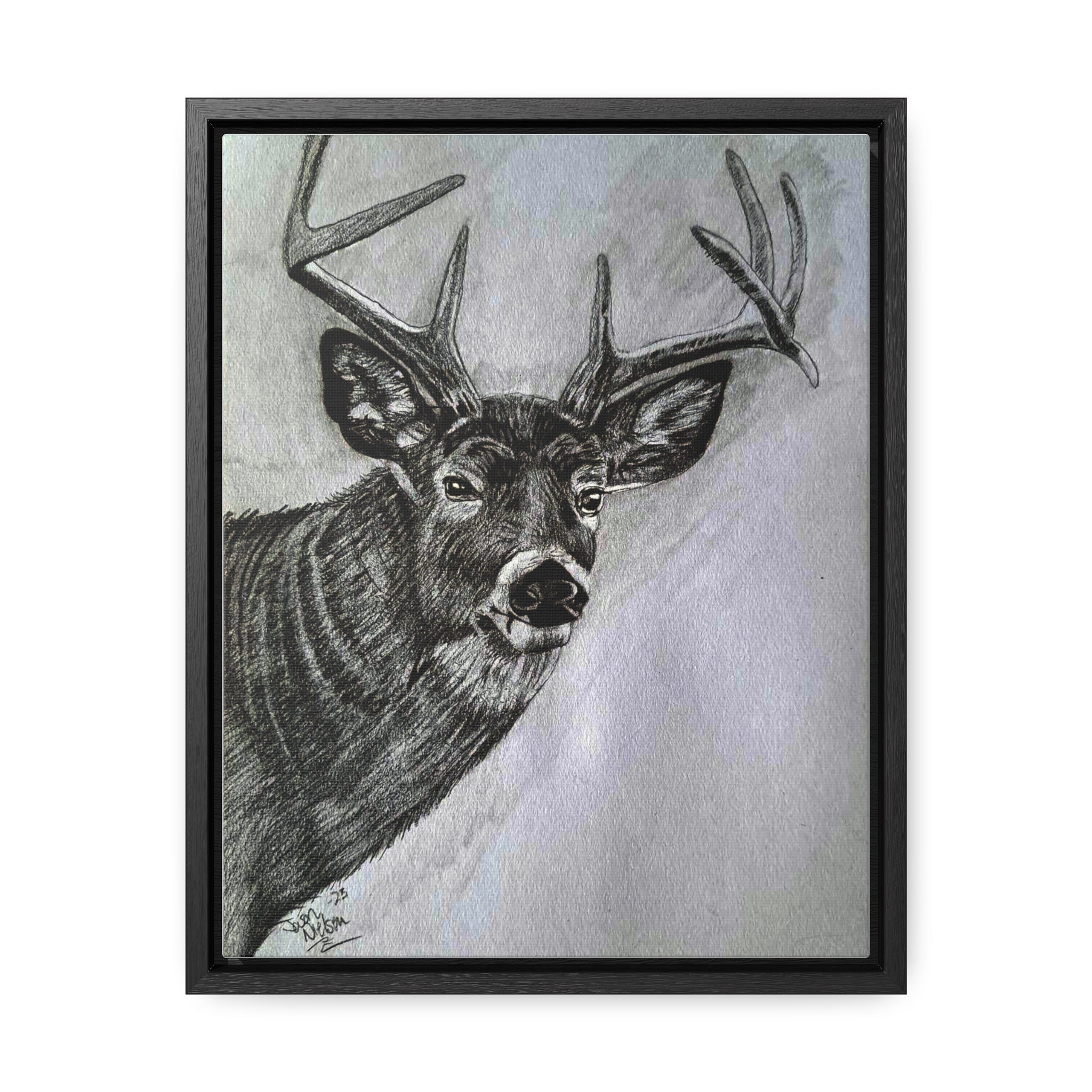 Whitetail Deer Buck Graphite Drawing Gallery Canvas Wraps, Vertical ...